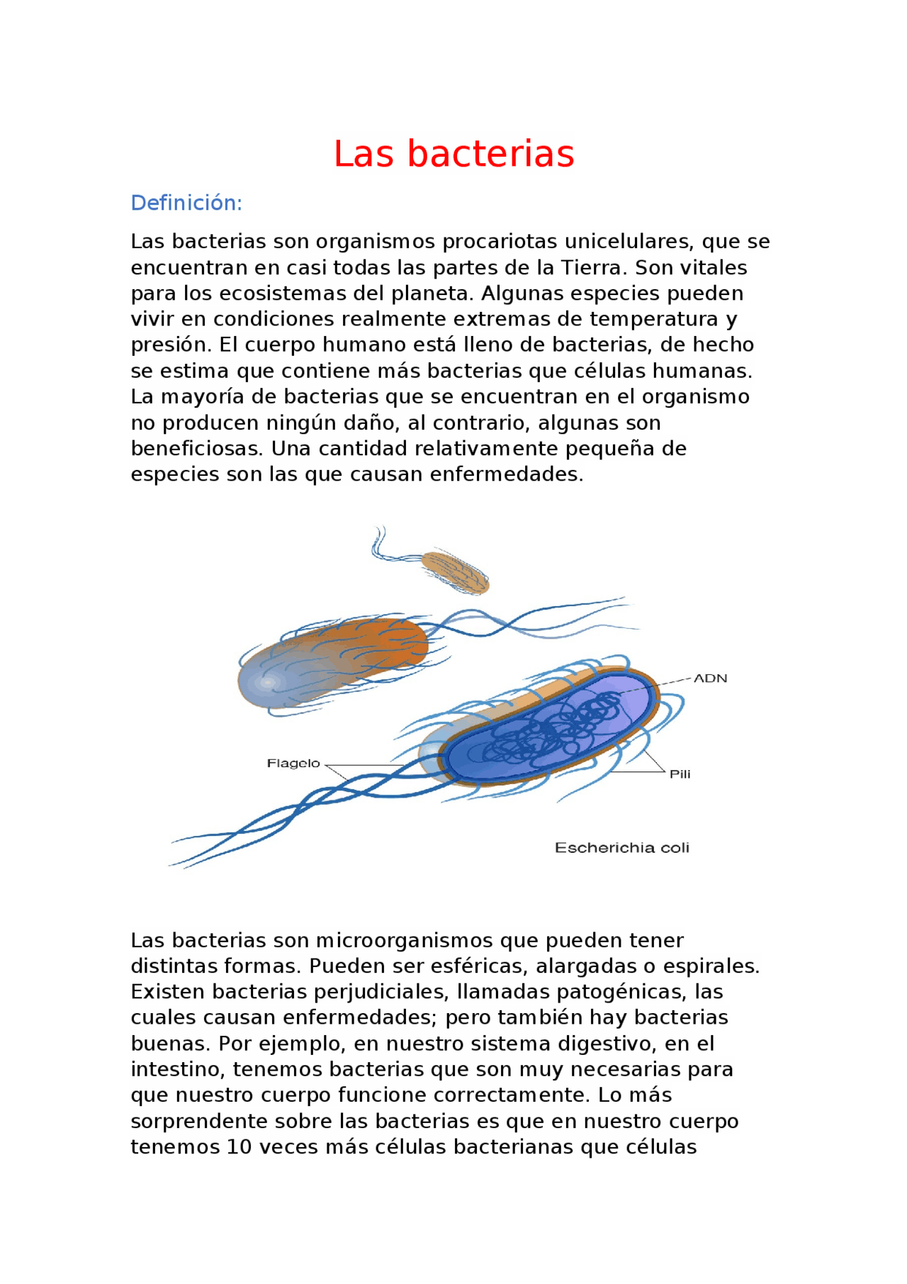 Las bacterias definición y formas | Apuntes de Biología | Docsity