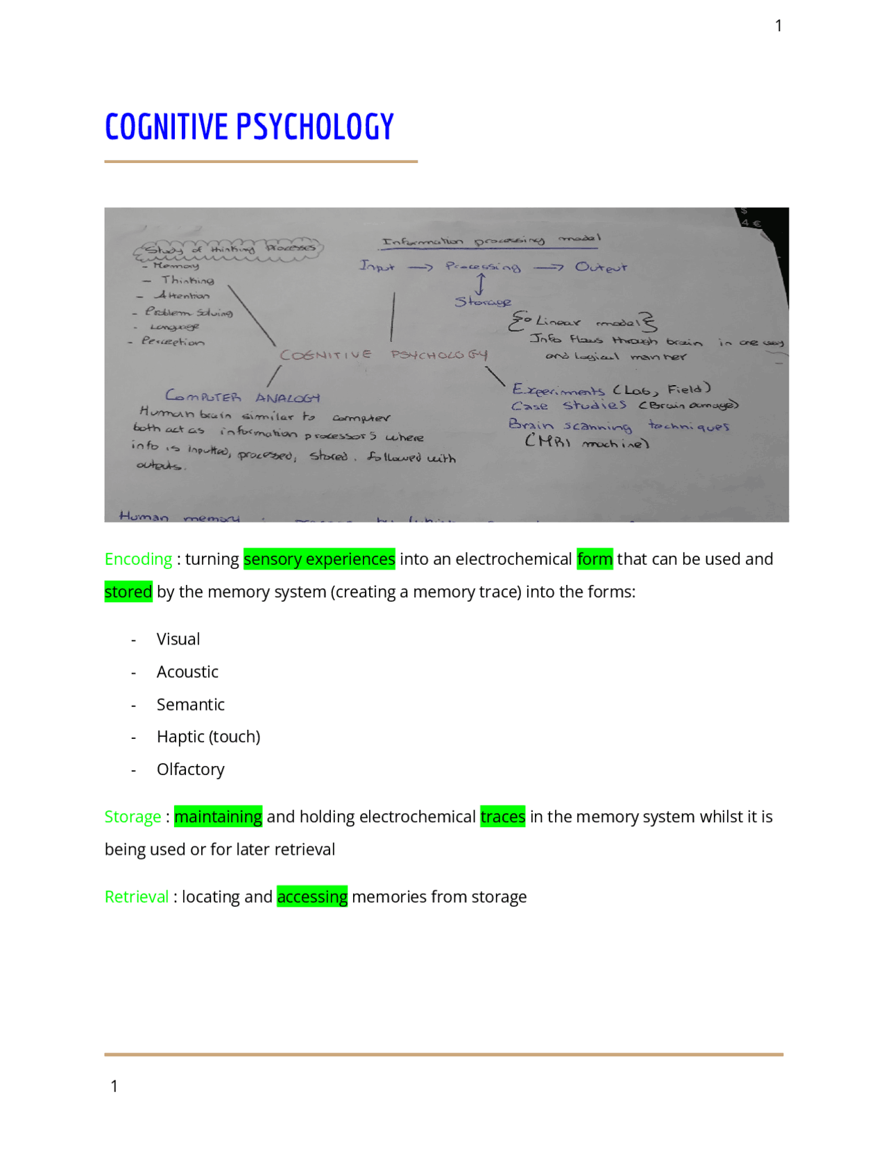 A level edexcel psychology cognitive approach full summary for A/A* ...