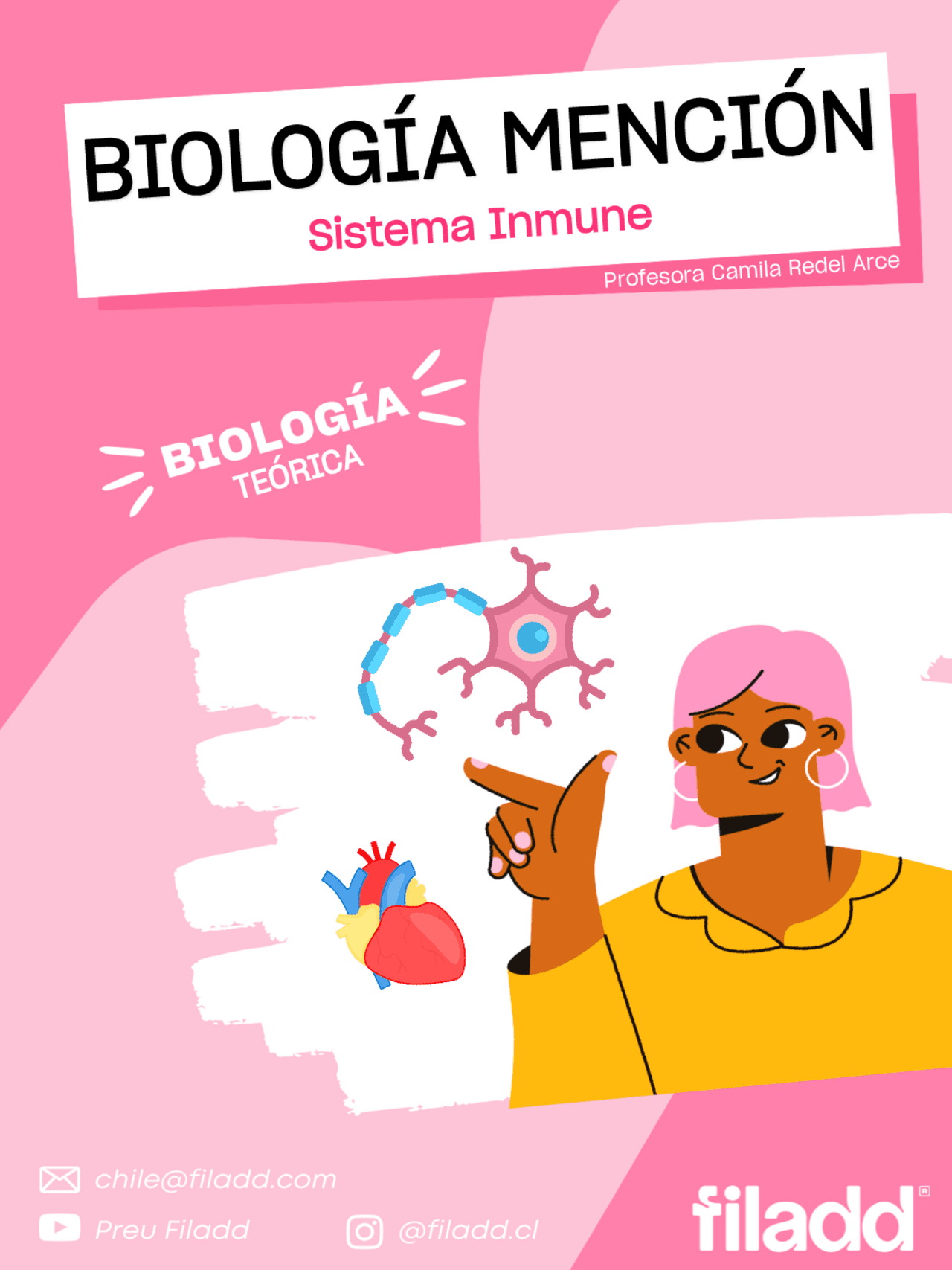 El Sistema Inmunológico Y Su Fisiología Apuntes De Anatomía Docsity