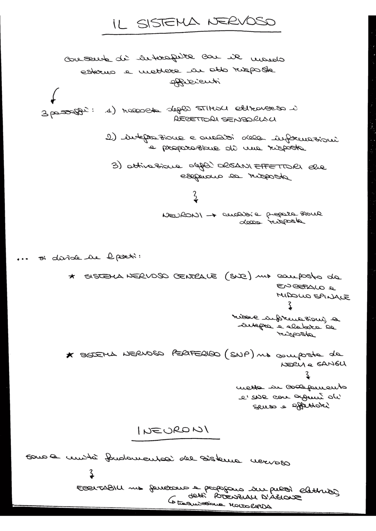 Il Sistema Nervoso Anatomia E Funzionamento Schemi E Mappe