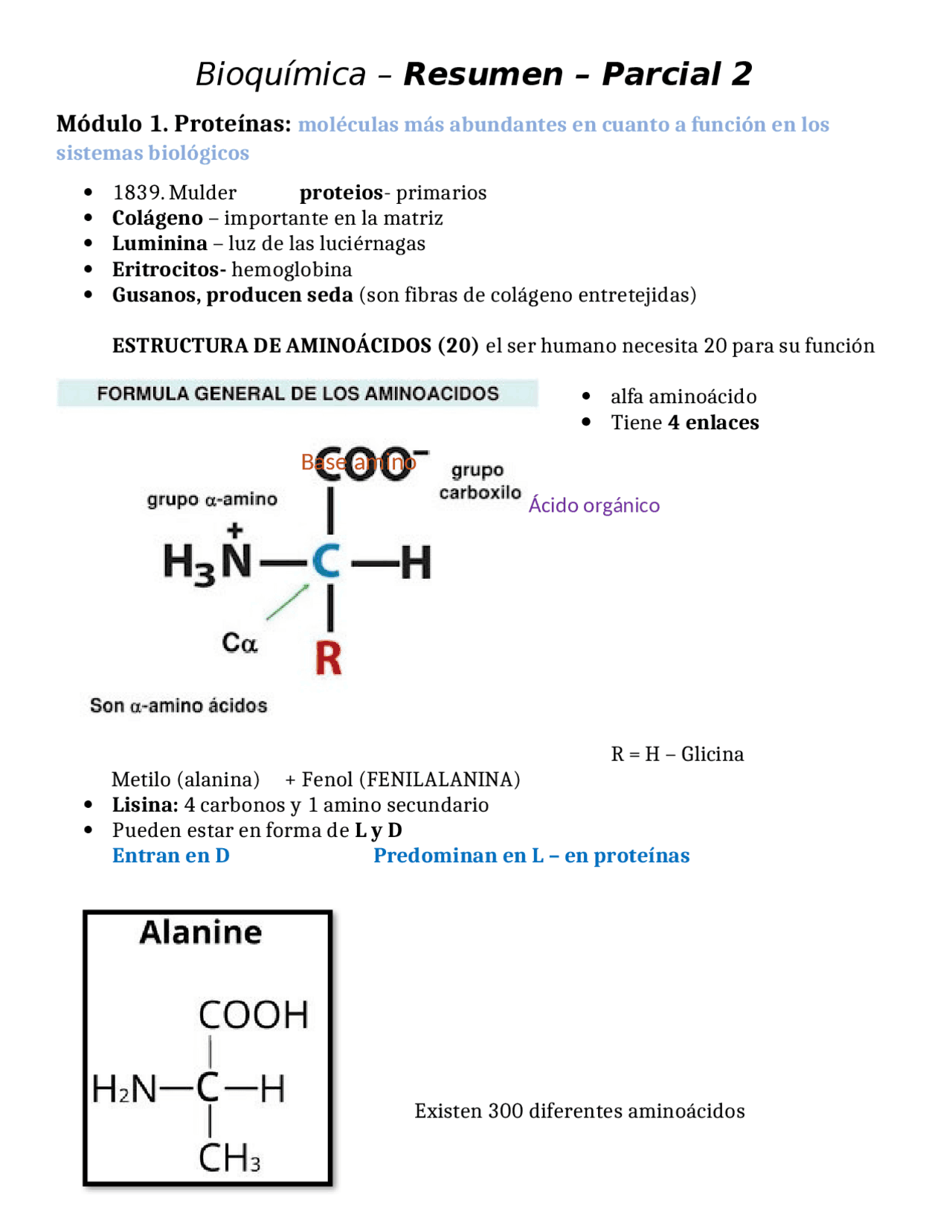 Resumen Bioquimica Rutas | Esquemas y mapas conceptuales de Bioquímica ...