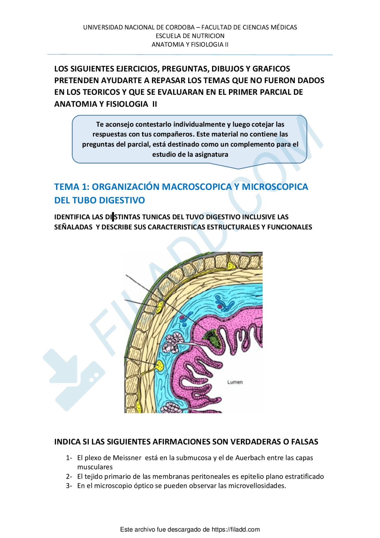 Guia De Repaso Para Primer Parcial Resúmenes De Anatomía Docsity