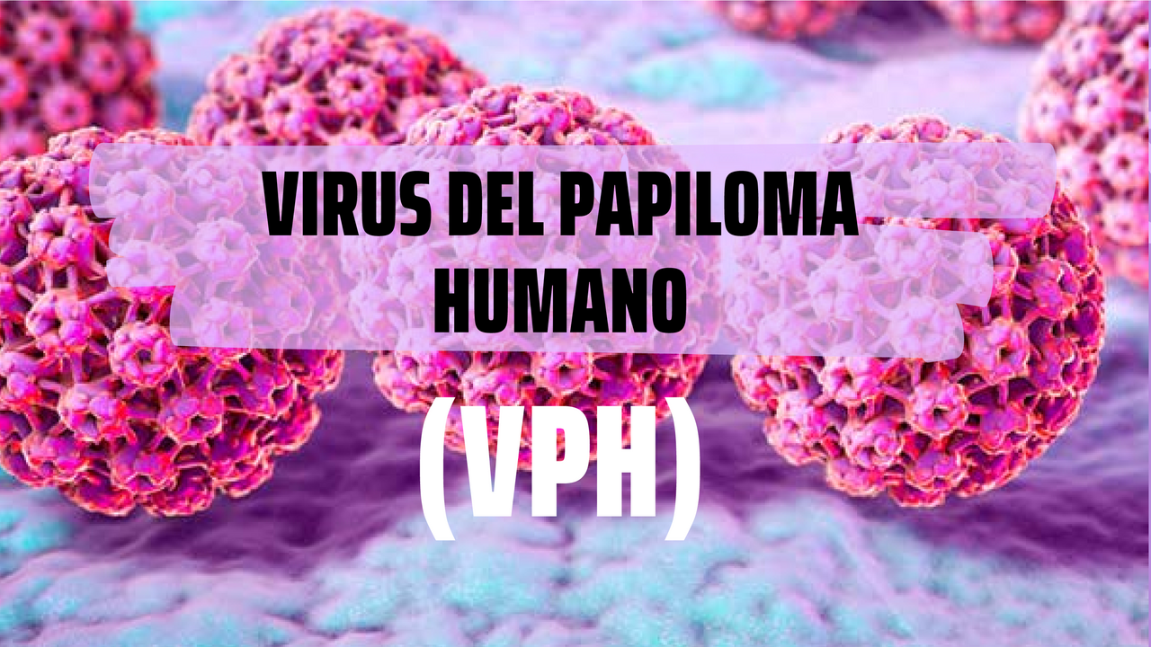 Virus Papiloma Humano | Diapositivas de Salud Pública | Docsity