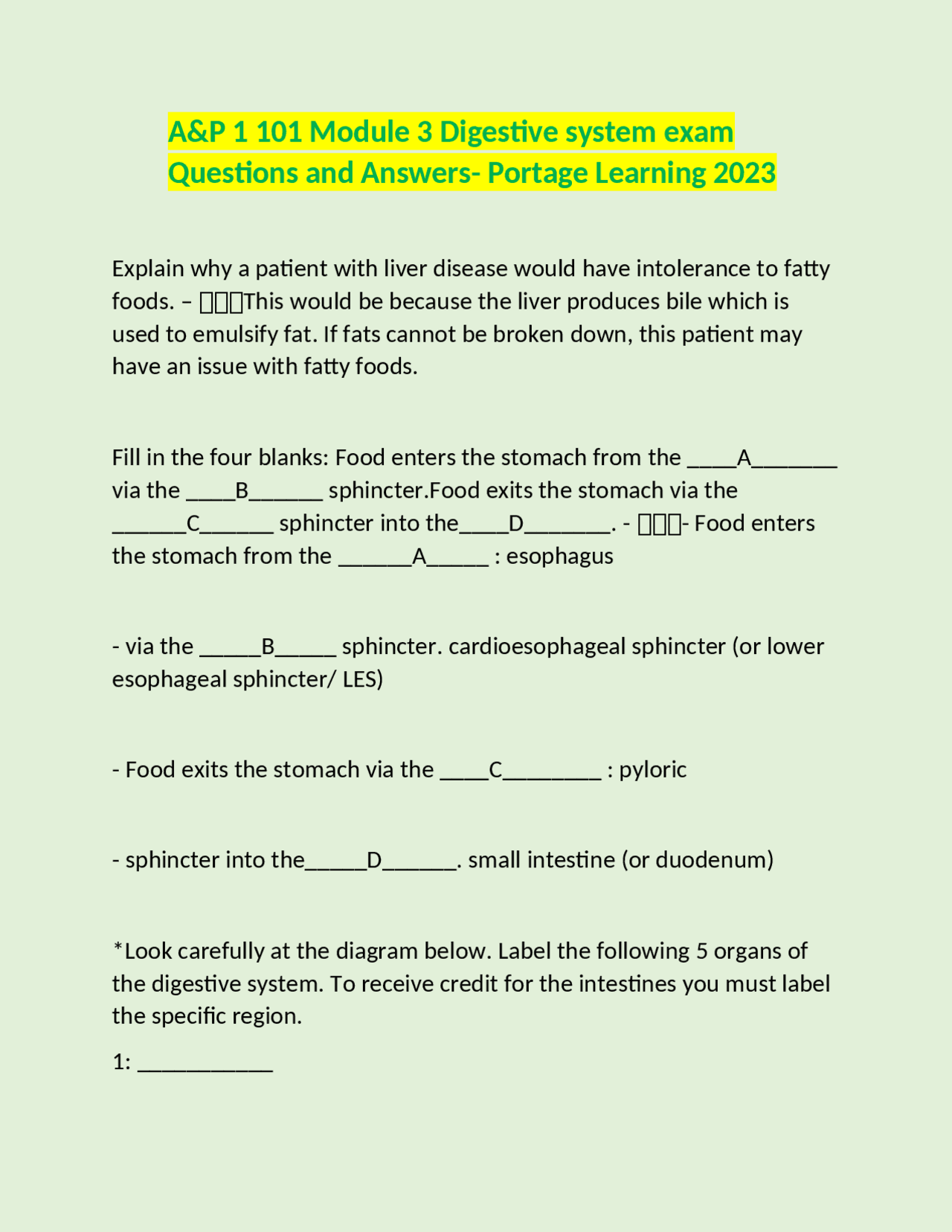 Aandp 1 101 Module 3 Digestive System Exam Questions And Answers Portage