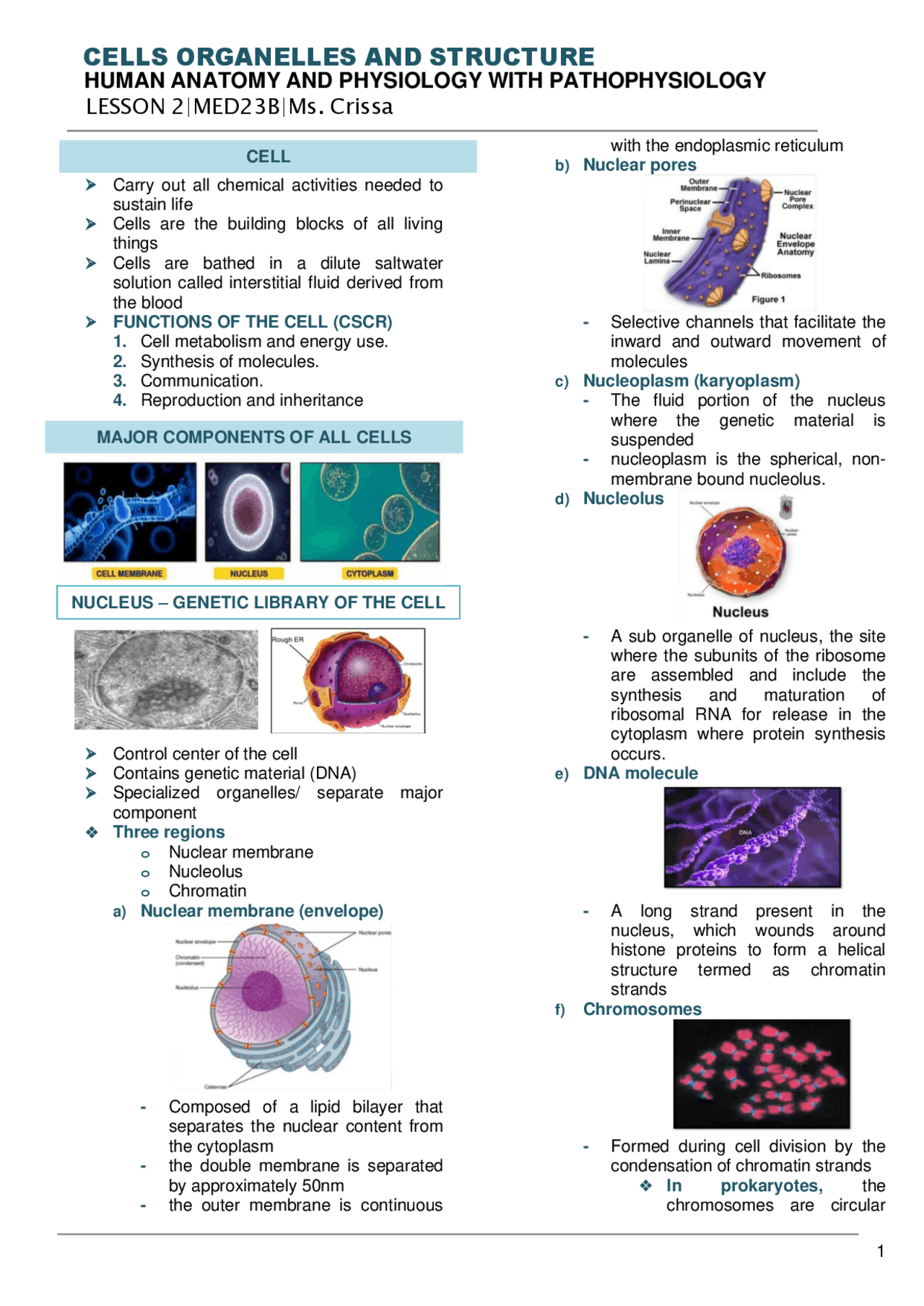 CHEMISTRY AND bIOLOGY | Lecture notes Chemistry | Docsity