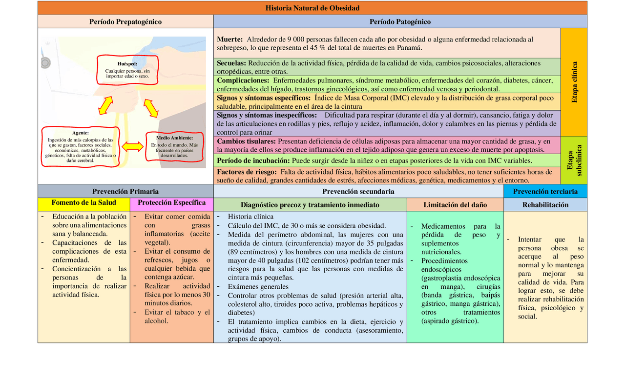 Historia natural de la Obesidad | Esquemas y mapas conceptuales de Epidemiología | Docsity