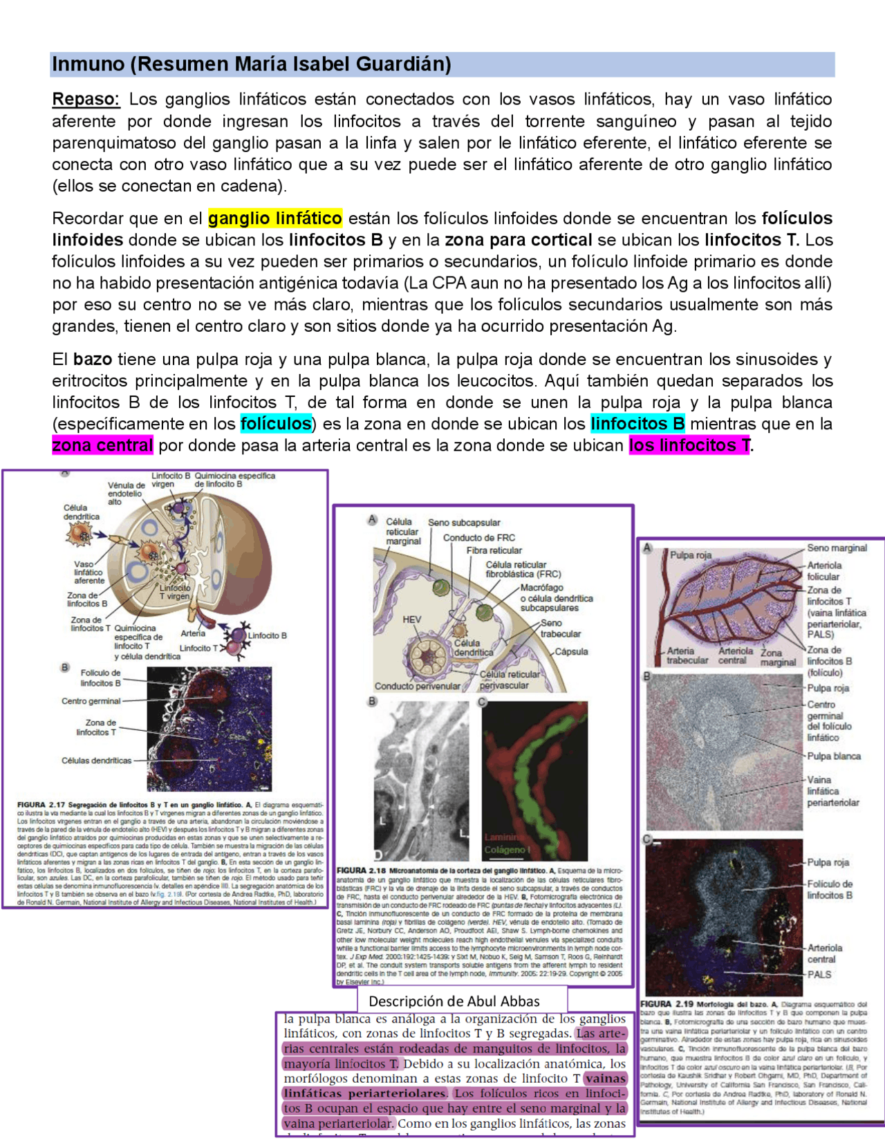 Apuntes De La Clase De Inflamación Apuntes De Inmunología Docsity