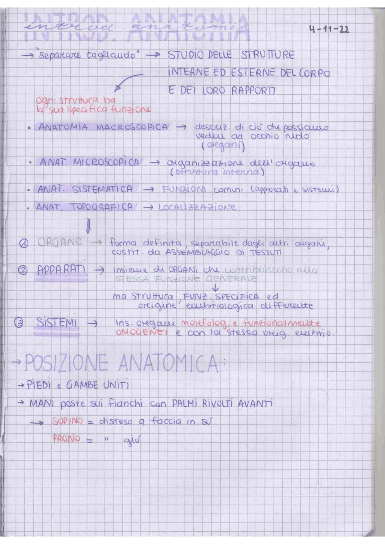 Anatomia Introduzione E Apparato Locomotore Appunti Di Anatomia