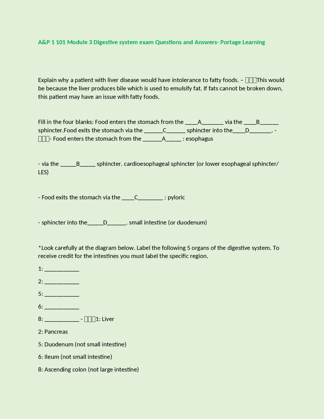 Aandp 1 101 Module 3 Digestive System Exam Questions And Answers Portage