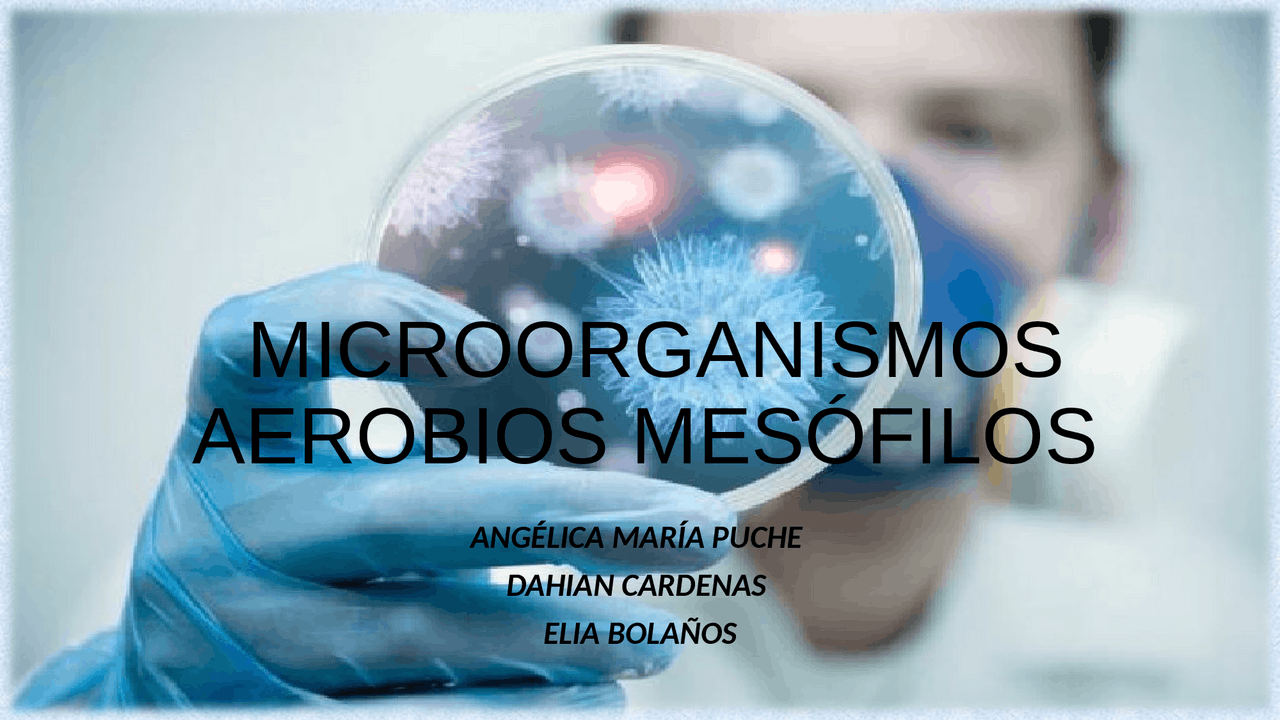 Microorganismos Aerobios mesofílos | Esquemas de Biologia | Docsity
