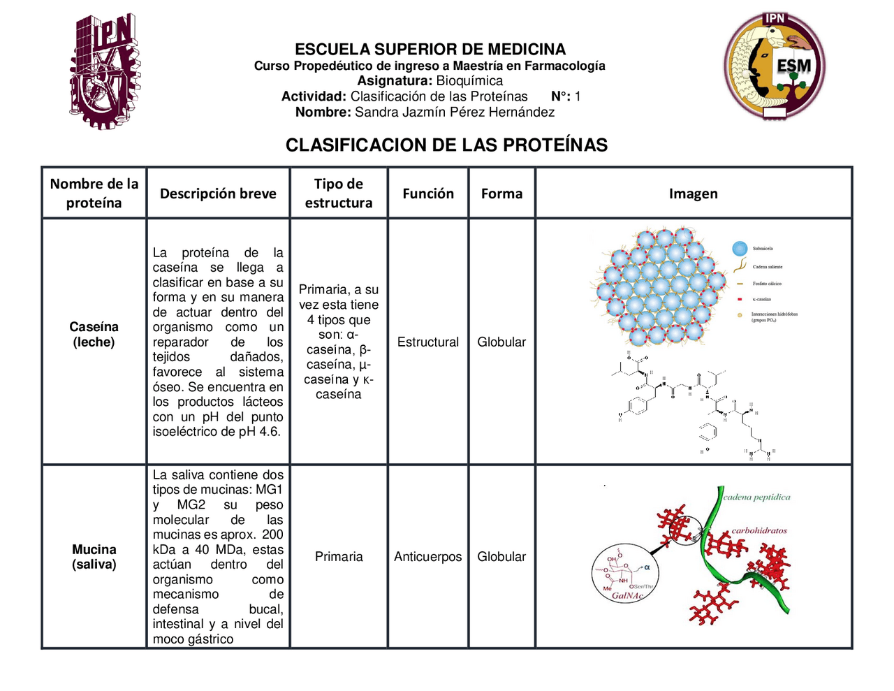PROTEINAS CONTINUACIO | Esquemas y mapas conceptuales de Bioquímica | Docsity