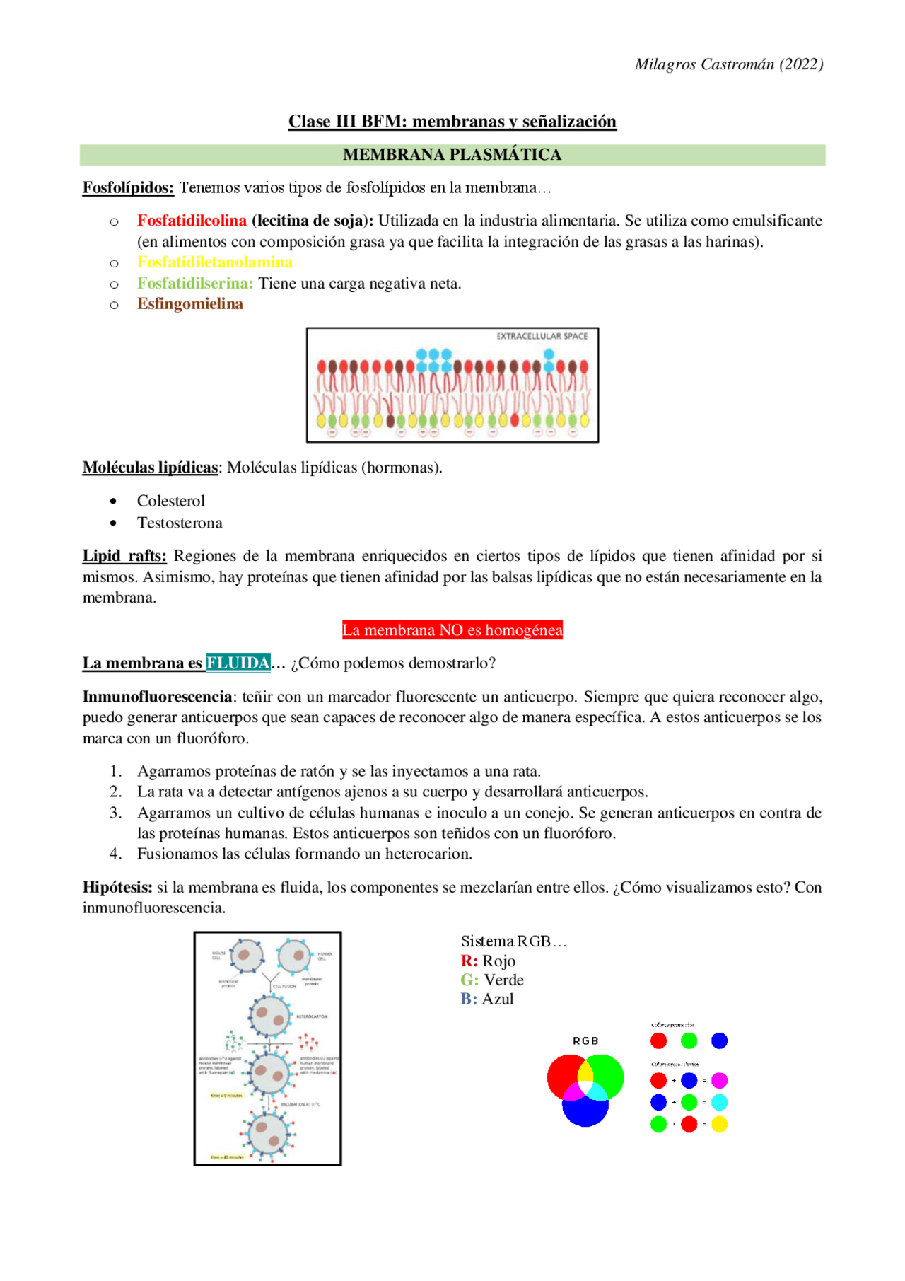 Membrana Plasmatica Apuntes De Biología Docsity