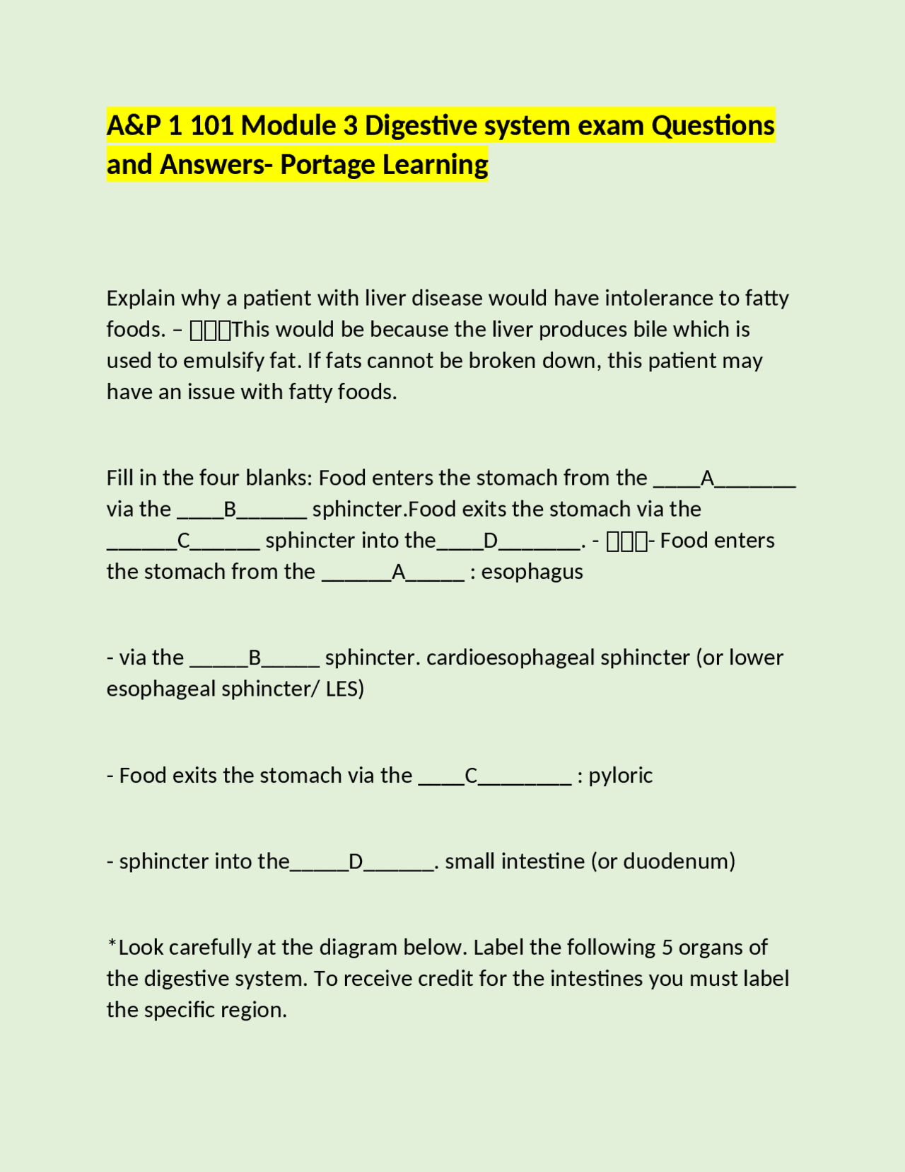 Aandp 1 101 Module 3 Digestive System Exam Questions And Answers Portage