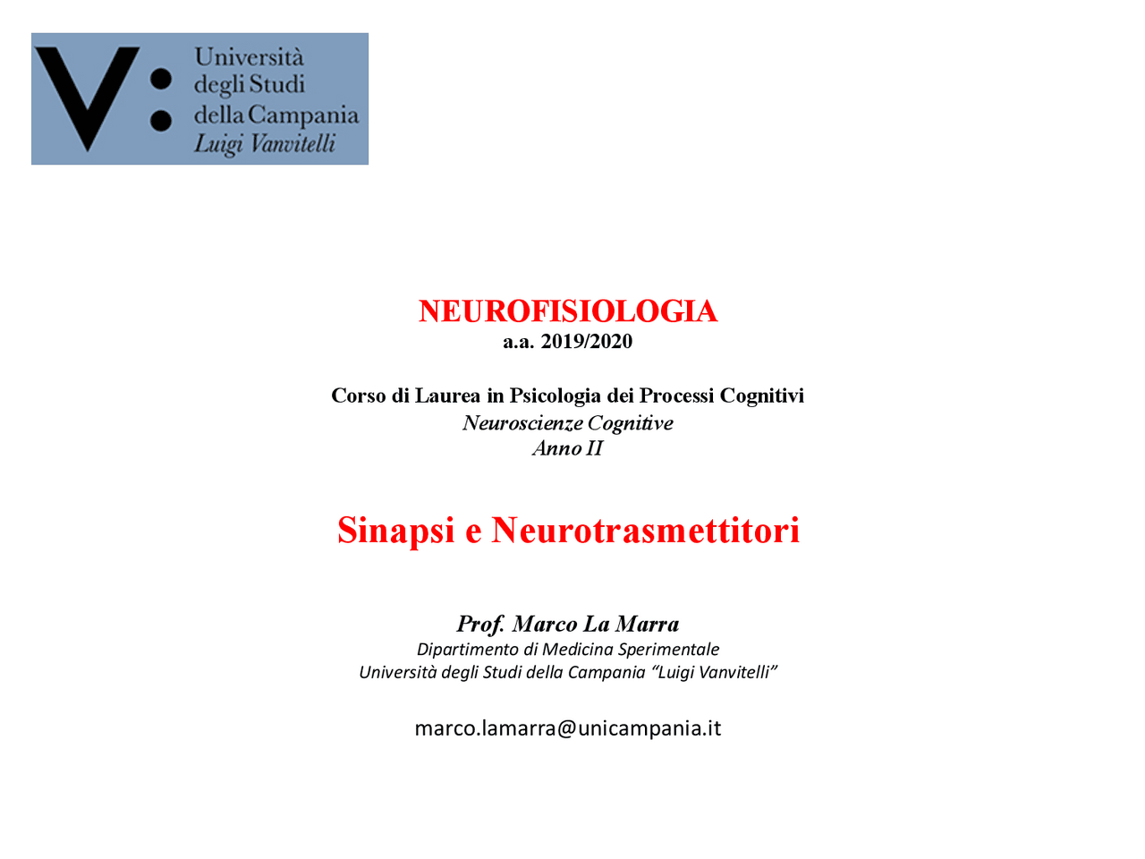 Sinapsi E Neurotrasmettitori Schemi E Mappe Concettuali Di