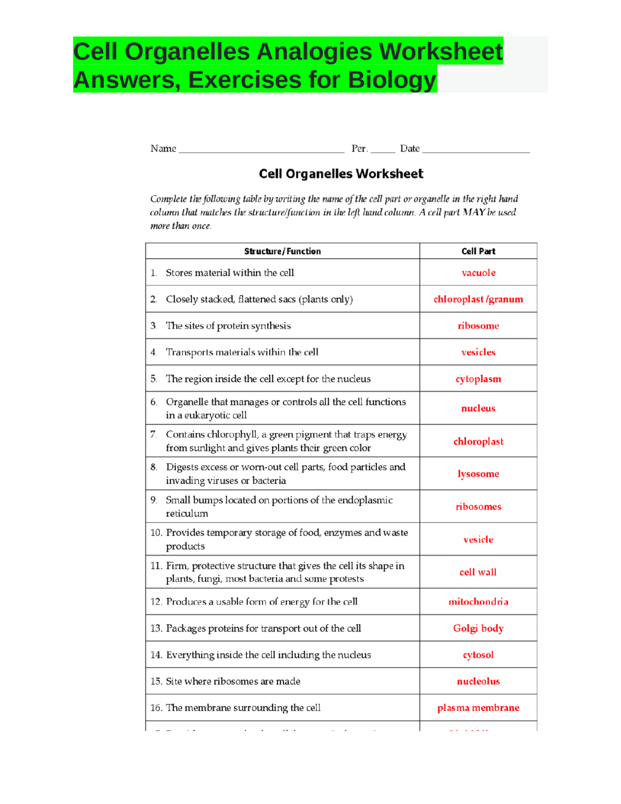 Cell City Analogy Worksheet Answers