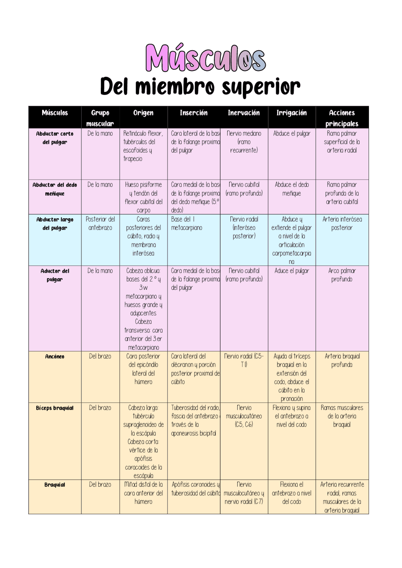 Resumen De Pares Craneales Resúmenes De Anatomía Docsity