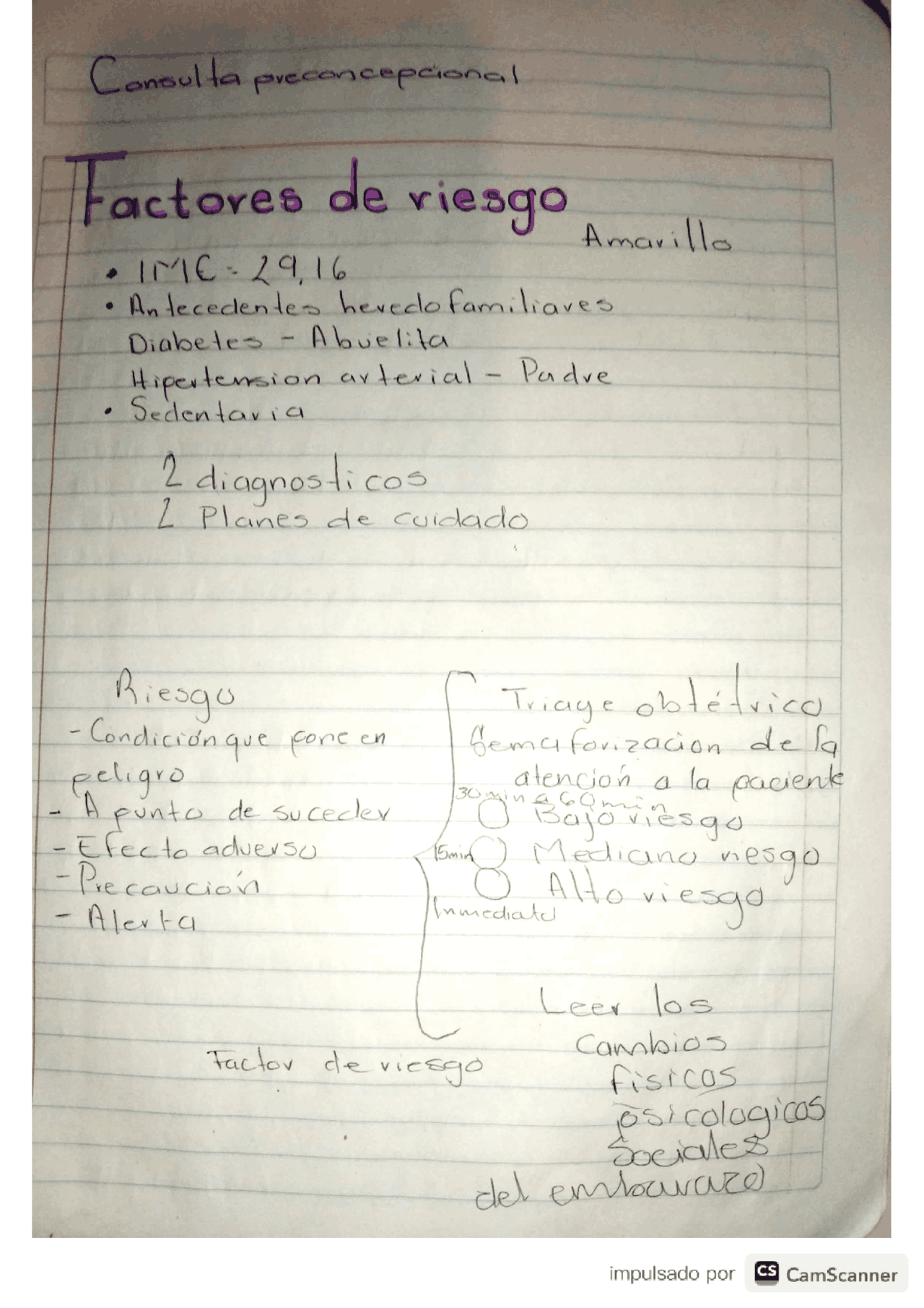 Consulta Preconcepcional Apuntes De Obstetricia Docsity