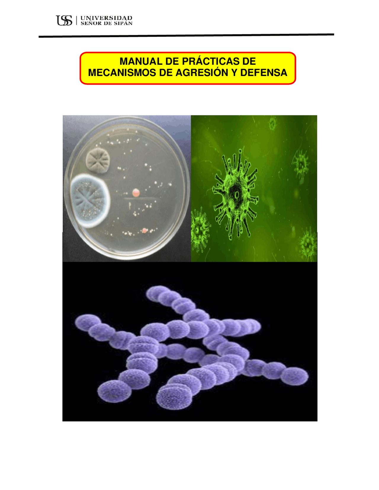 Microbiologia Practica 1 Diapositivas De Microbiología Docsity
