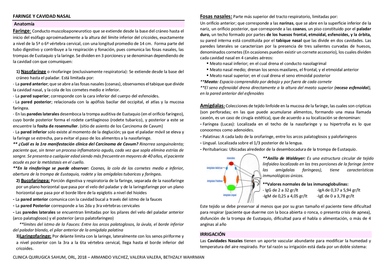 Otitis Media Aguda Y Externa Apuntes De Otorrinolaringología Docsity