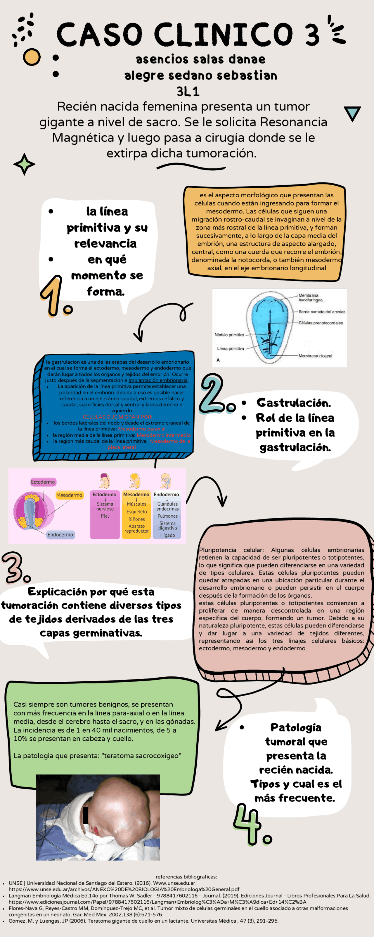 Caso Clinico Semana 2 Ejercicios De Embriología Docsity