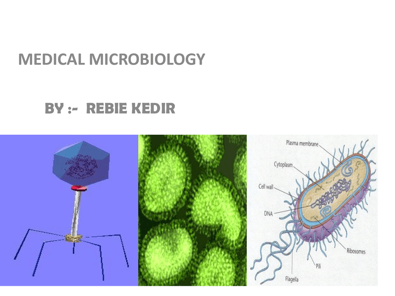 Introduction of microbiologgy | Schemes and Mind Maps Food Microbiology ...