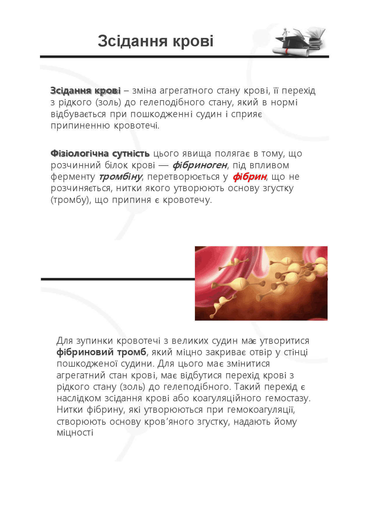 Фізіологічні особливості системи крові Конспекты лекций Медицина