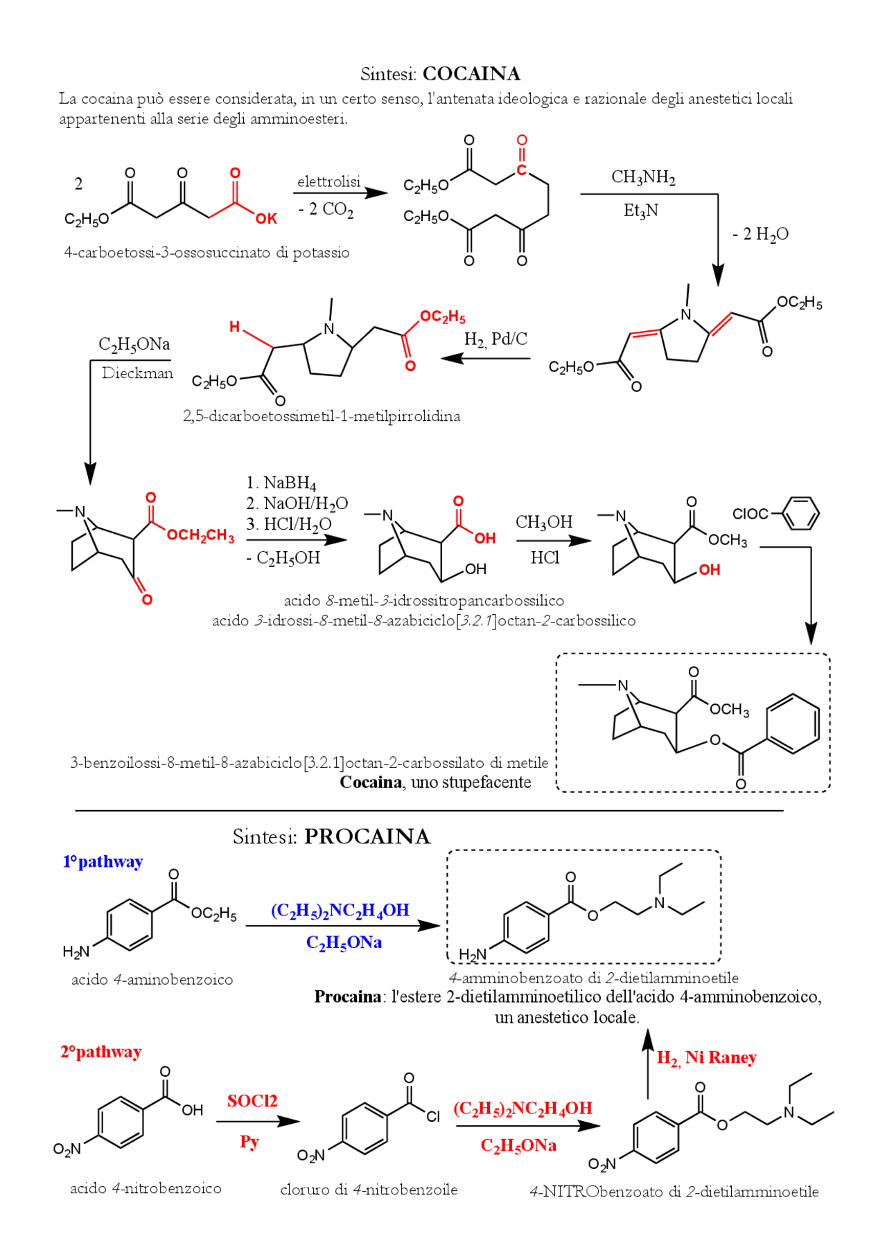 Sintesi della cocaina e della procaina | Schemi e mappe concettuali di ...
