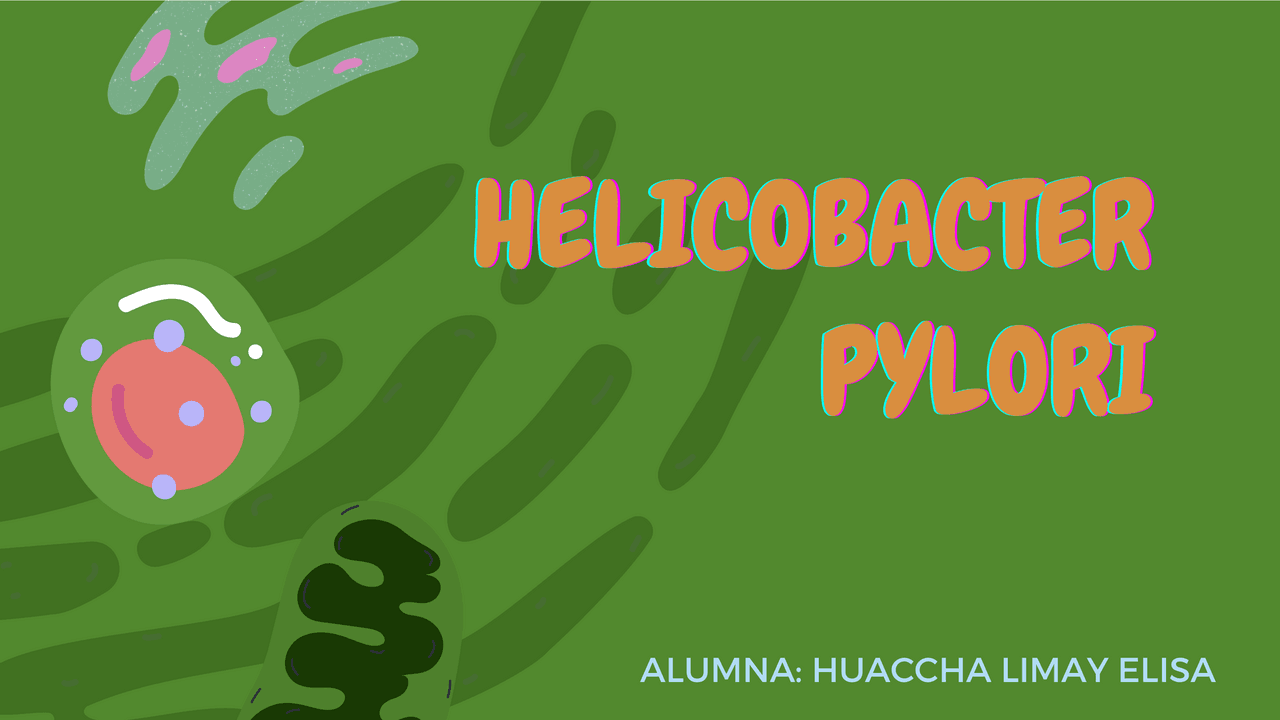 Bacteria Helicobacter pylori | Diapositivas de Biología | Docsity