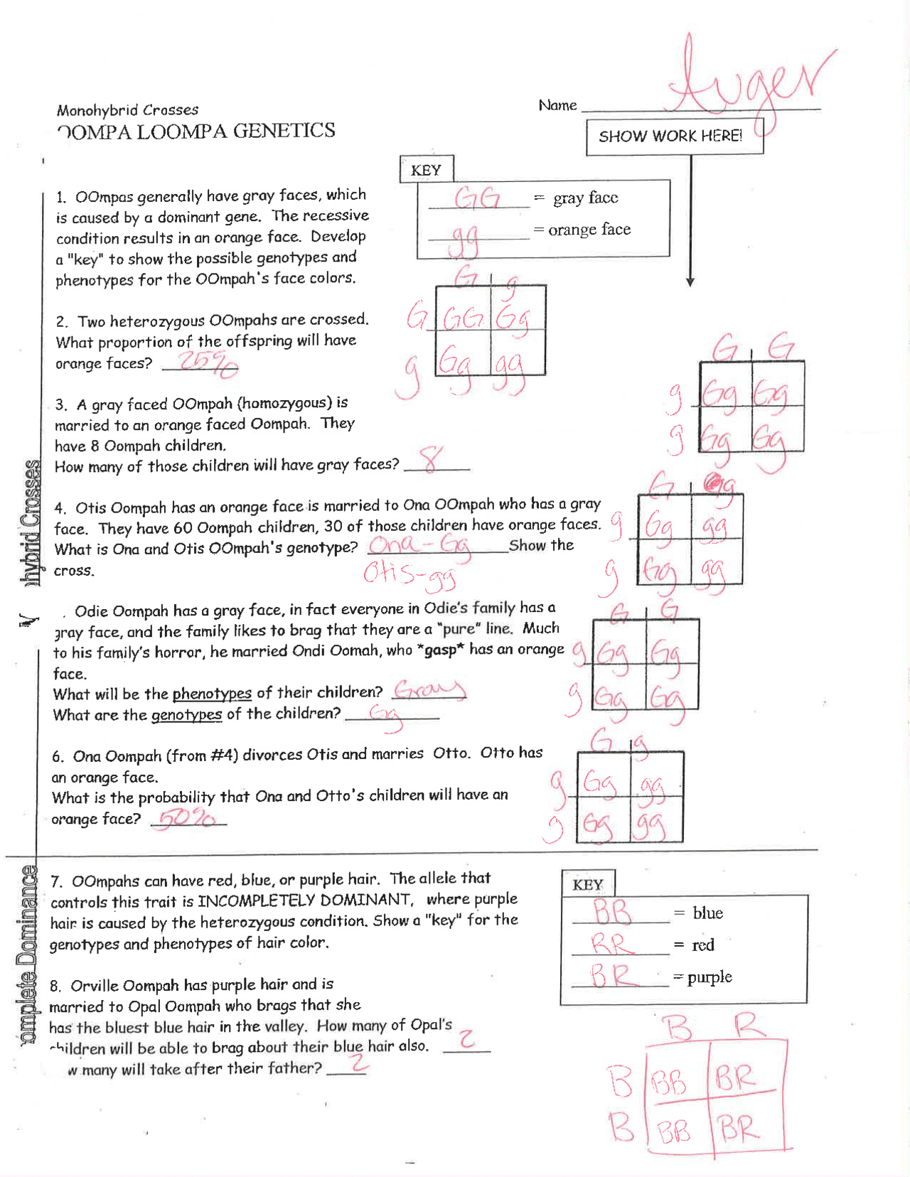 Oompha loompha genetics sheet | Exercises Biology | Docsity