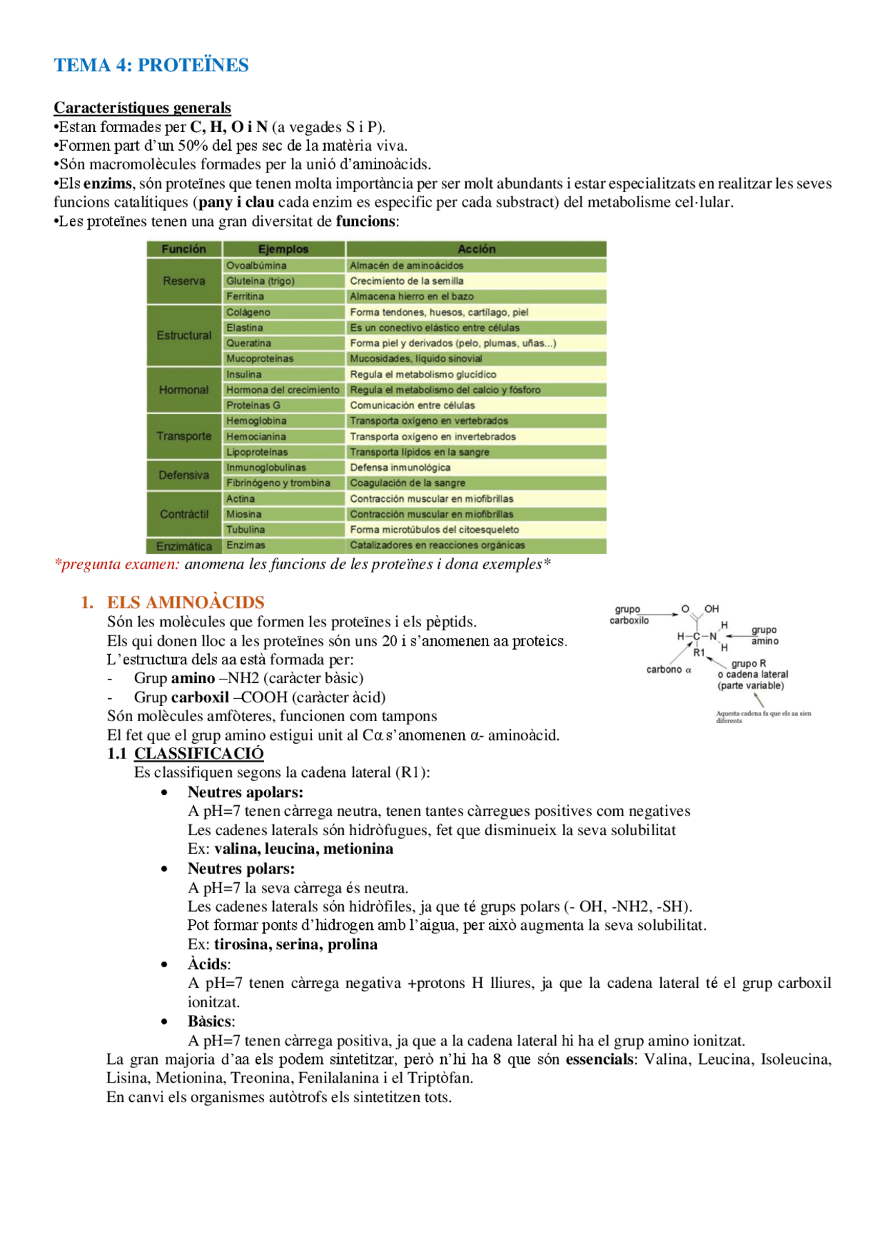 Apuntes Batch De Biologia Tema Proteïnas Apuntes De Biología Docsity