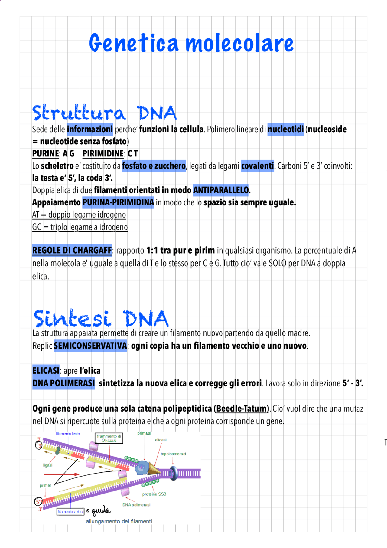 Genetica Molecolare Tolc Med Test Dammissione Di Biologia Docsity