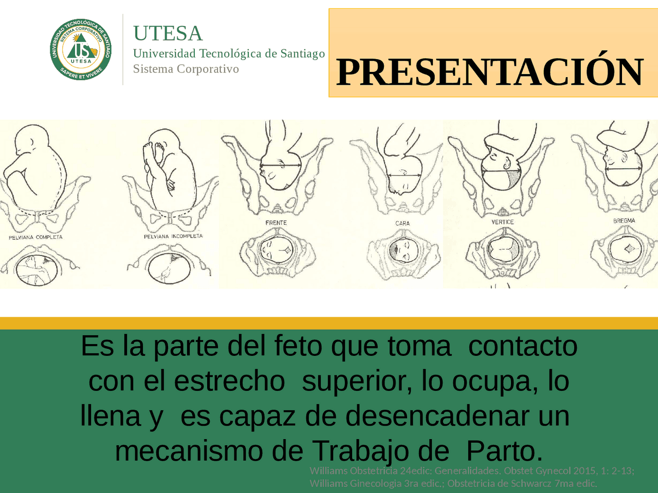 Presentación y Posición Fetal en el Embarazo | Diapositivas de ...