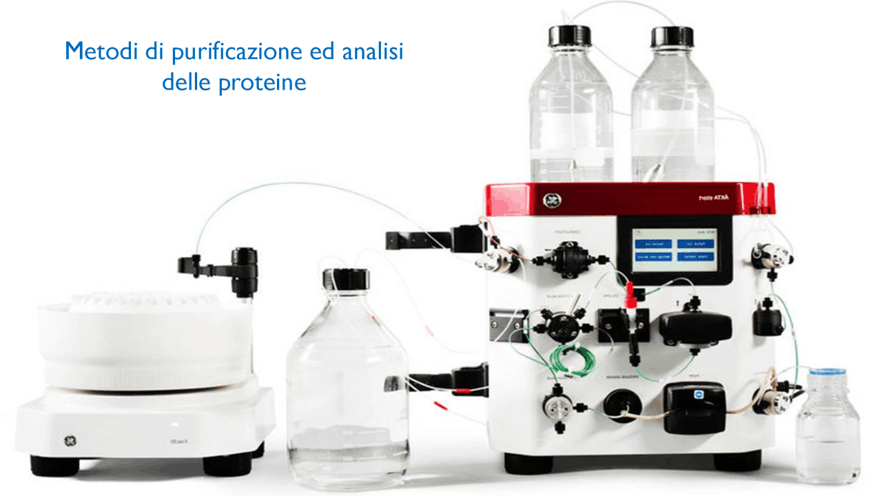 Metodi Di Purificazione Proteine Dispense Di Biologia Docsity