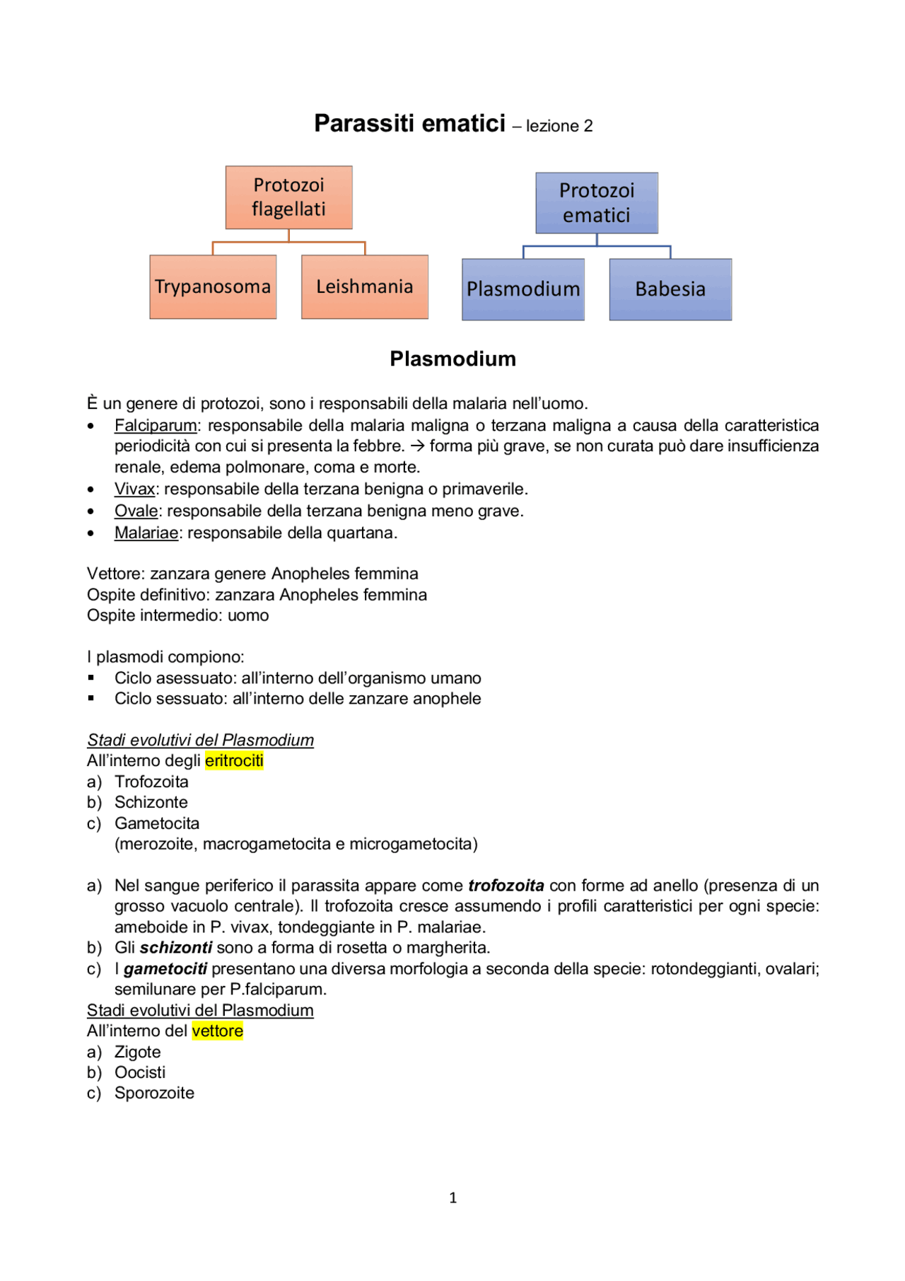 Parassiti Ematici Schema Schemi E Mappe Concettuali Di