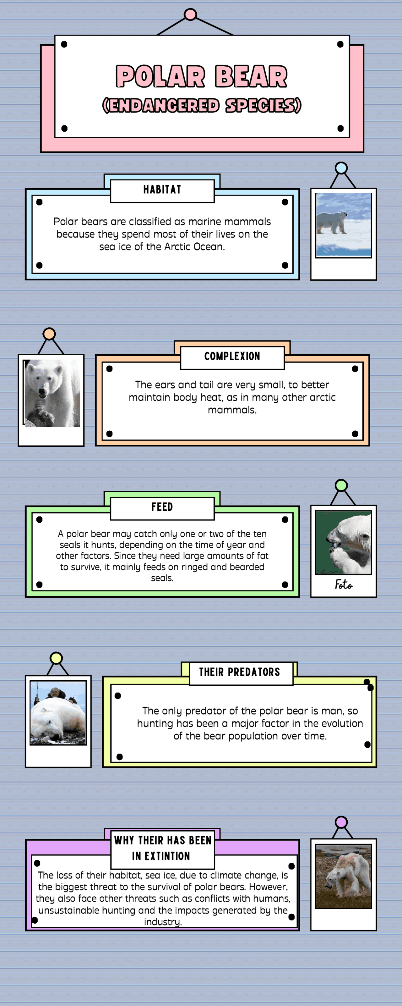 Infografia De Ingles Monografías Ensayos De Inglés Docsity