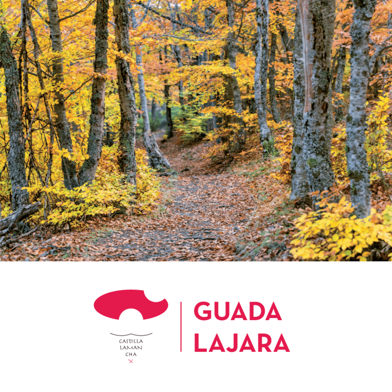 CONCEPTOS BASICOS HERMENEUTICA | Esquemas y mapas conceptuales de Filosofía | Docsity