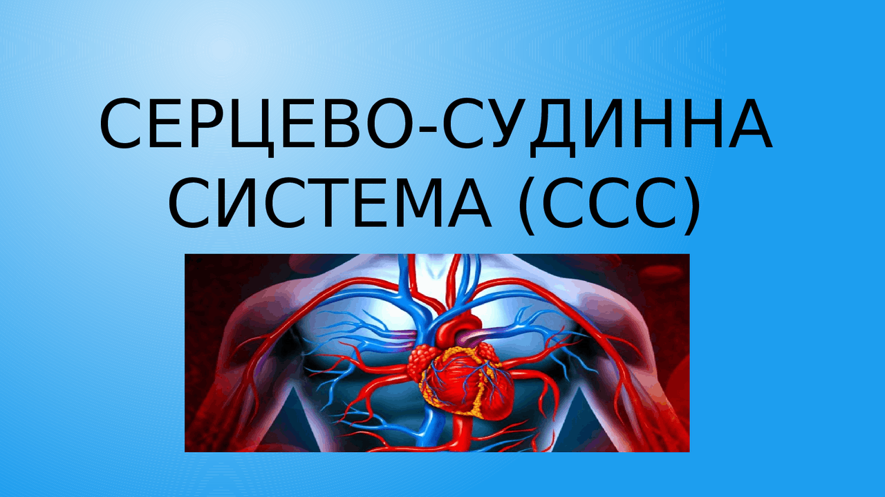 Серцево судинна система ссс Презентации Гистология Docsity
