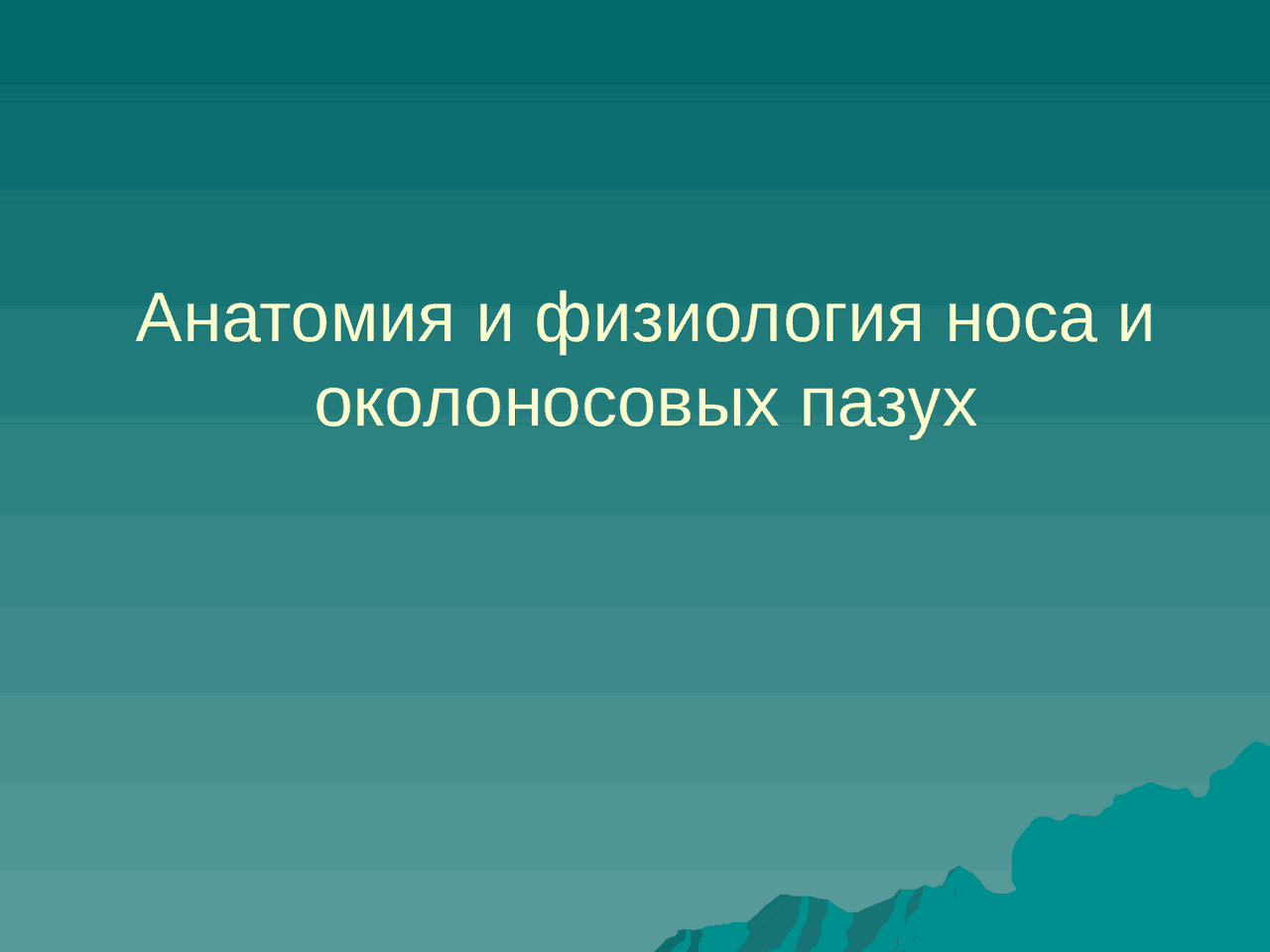 Анатомия и физиология носа Схемы История Docsity