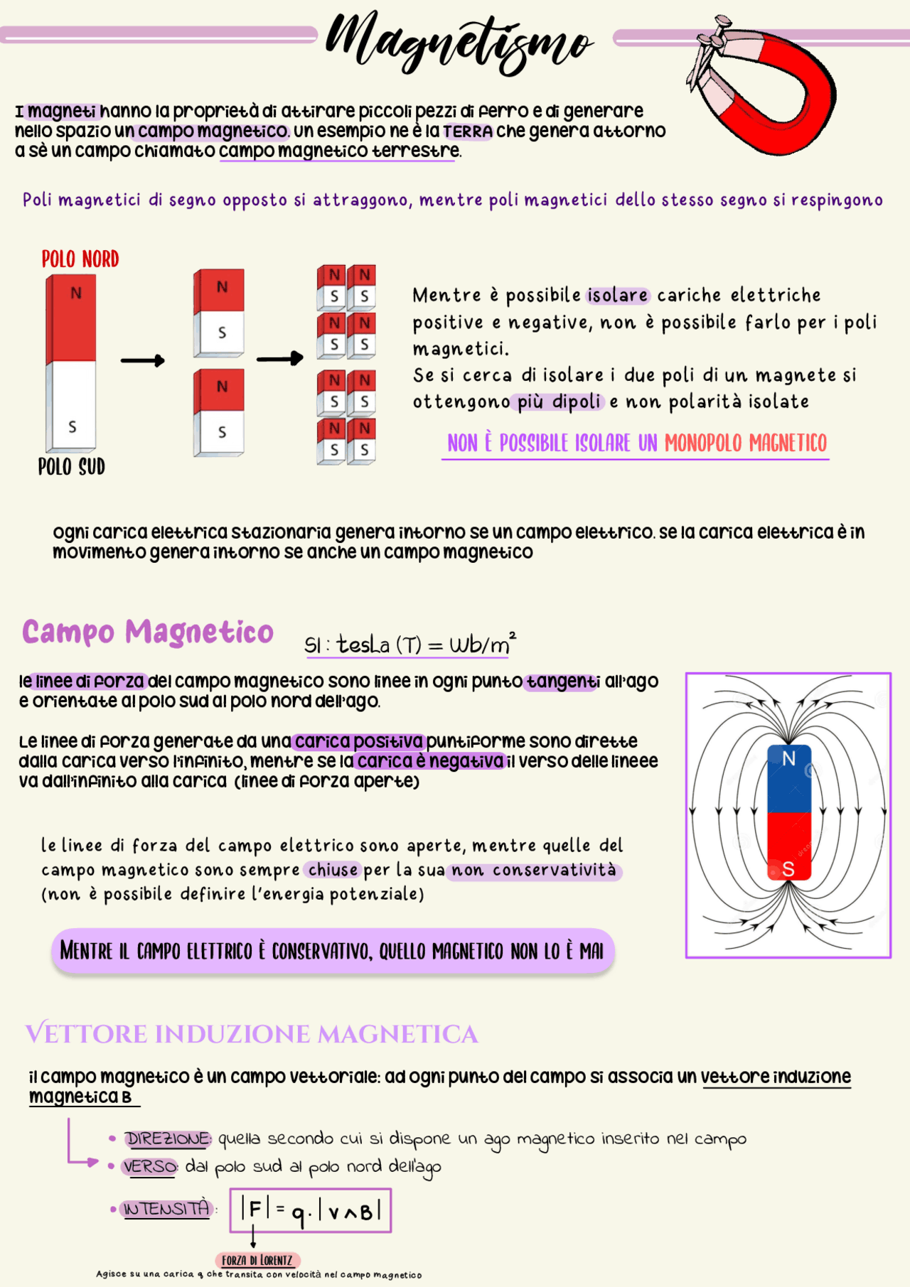 Magnetismo e campi magnetici | Appunti di Fisica | Docsity