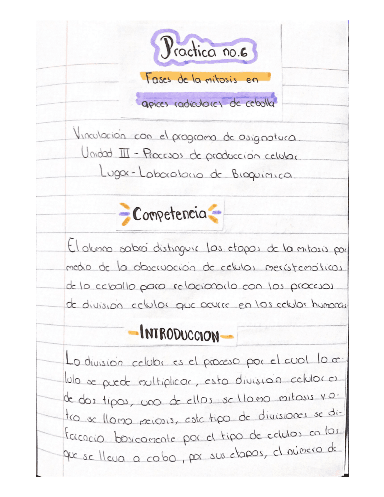 Practicas De Laboratorio De Nutrición Y Deportes Apuntes De Nutrición