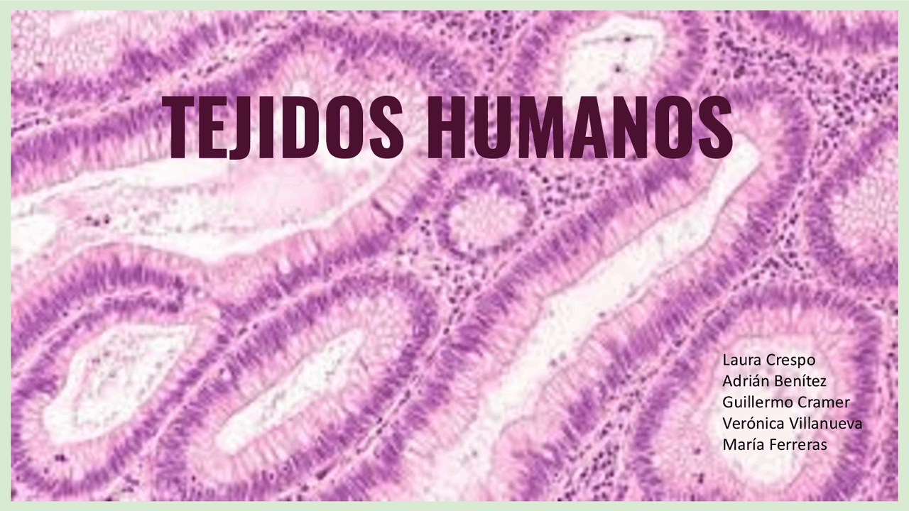 Fisiología tejidos humanos | Diapositivas de Fisiopatología | Docsity
