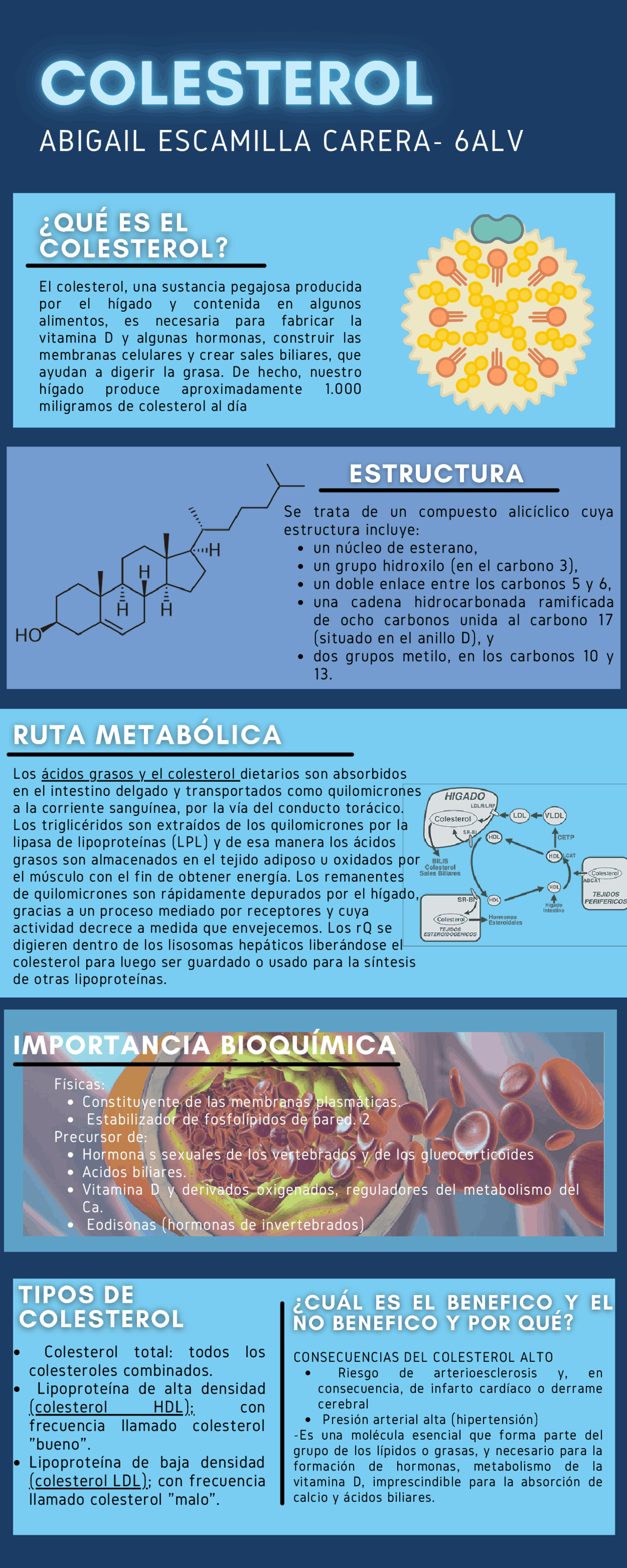 COLESTEROL, SU ESTRUCTURA, RUTA METABÓLICA, TIPOS, IMPORTANCIA BIOQUÍMICA | Esquemas y mapas ...