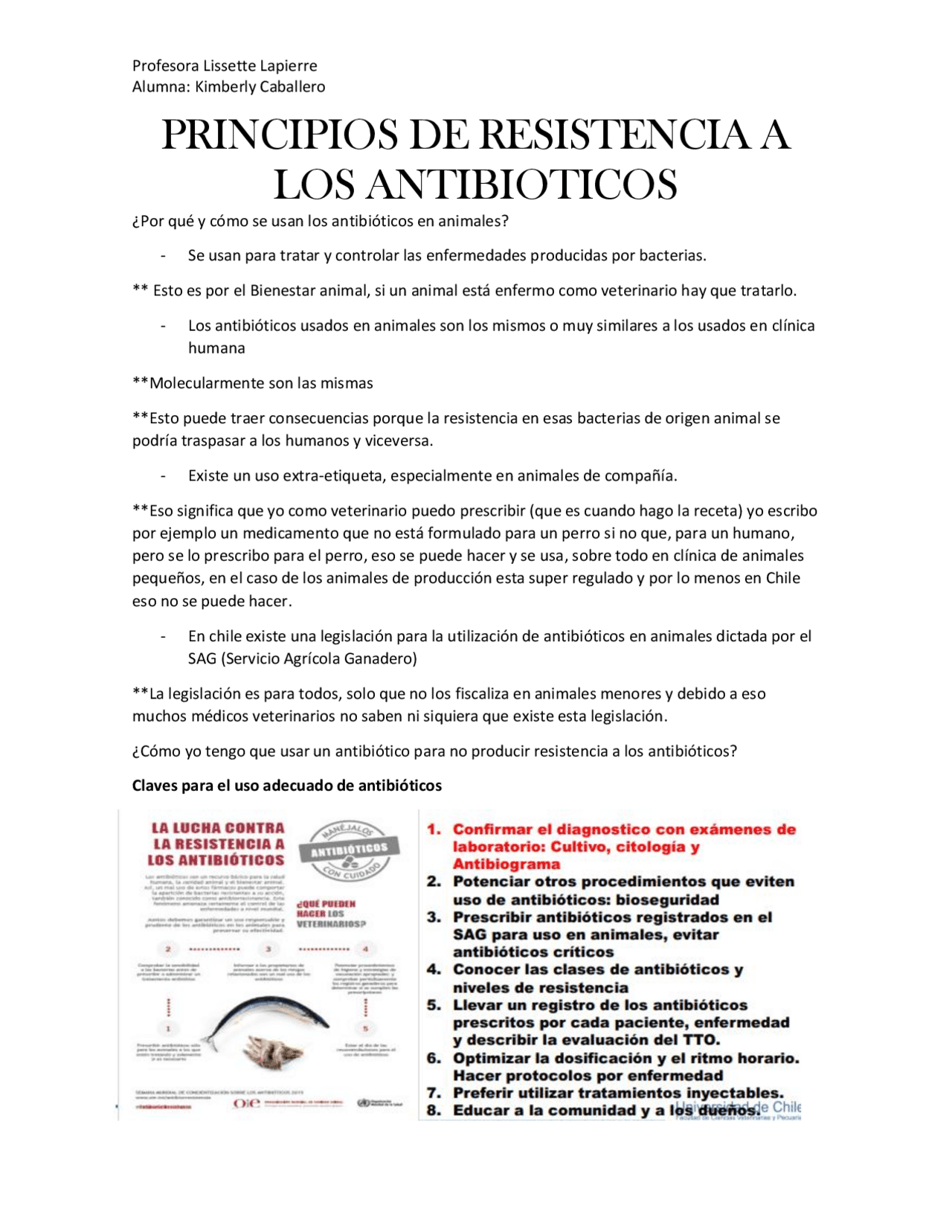 Resistencia A Los Antibióticos Esquemas Y Mapas Conceptuales De
