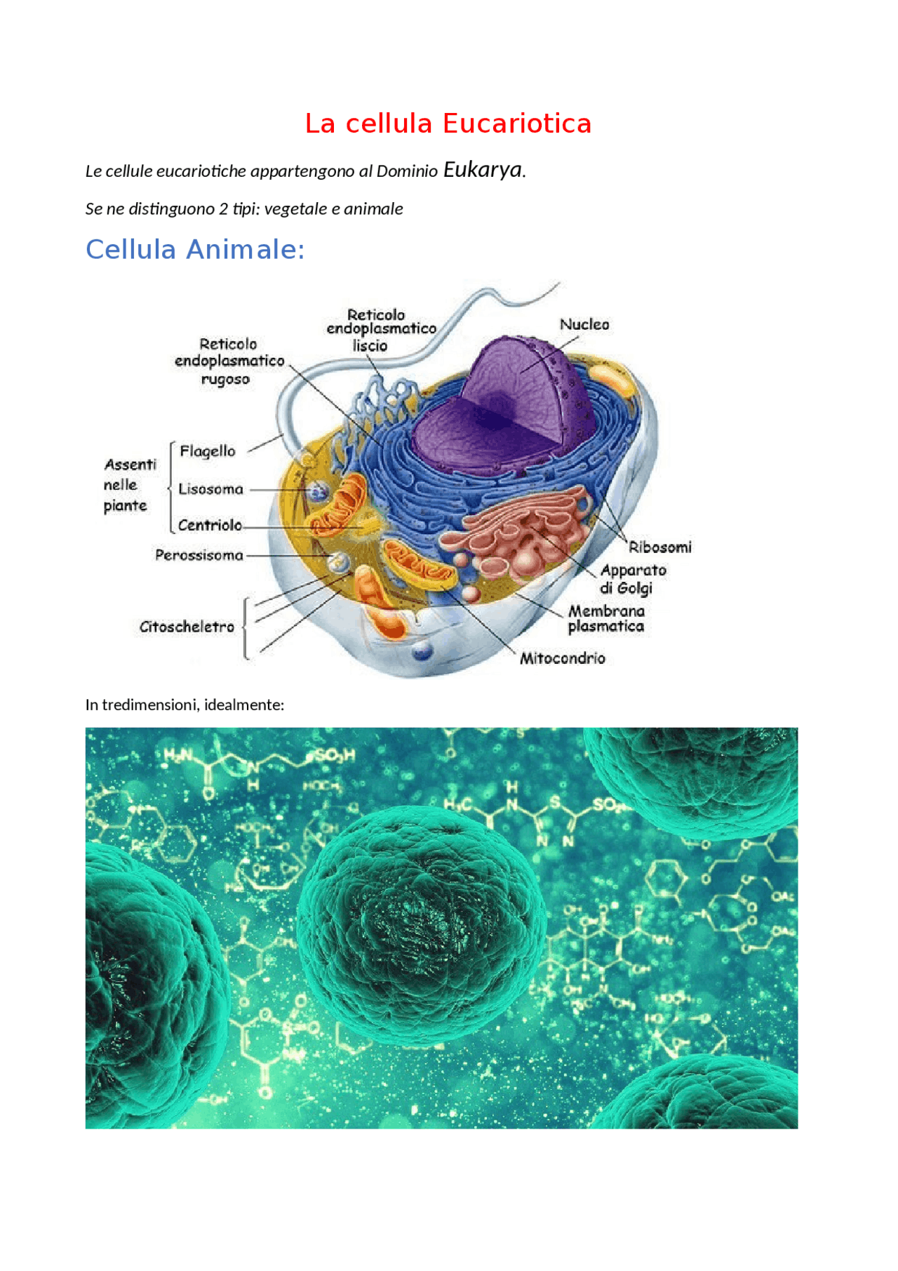 Eucariote Cellule Eu Sintesi Del Corso Di Scienze Della Terra Docsity