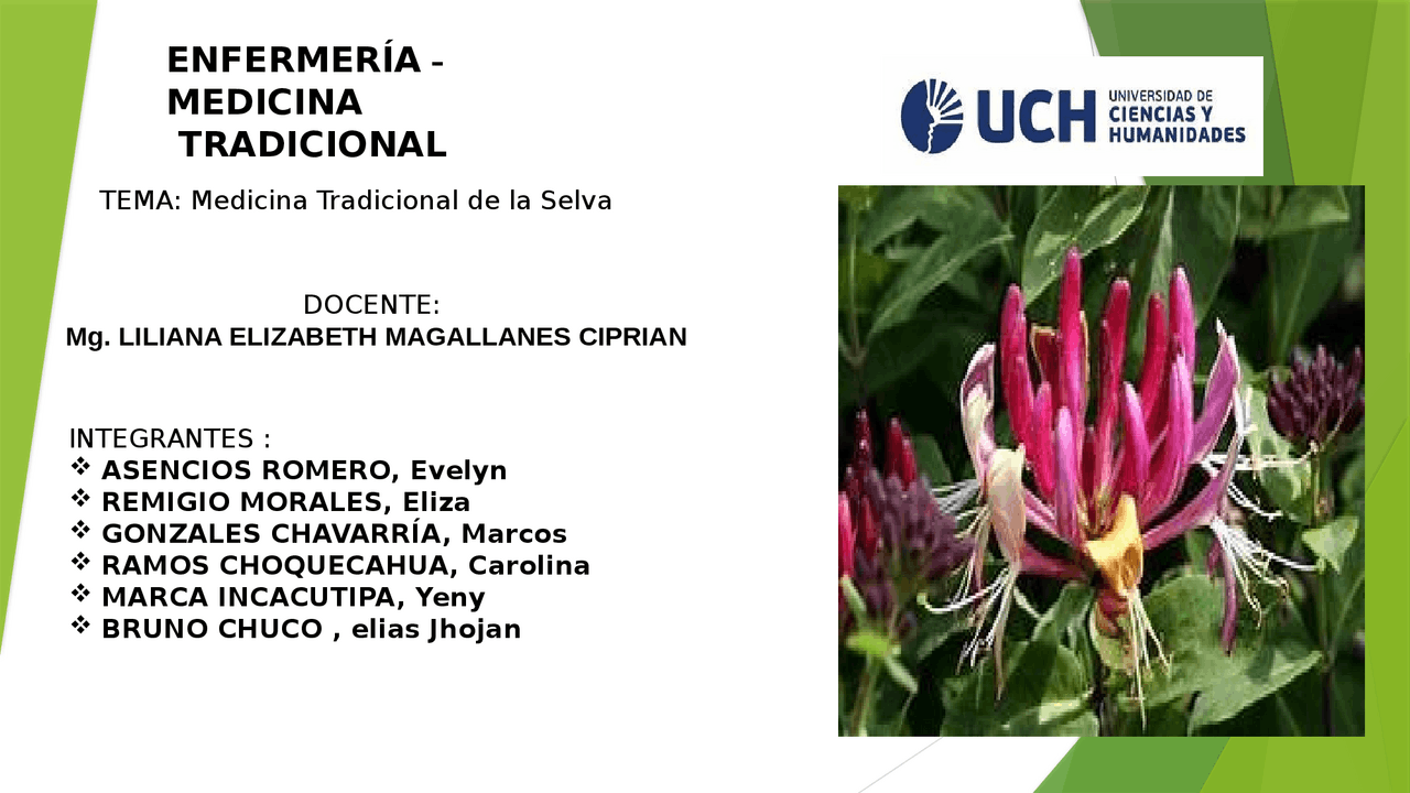 Plantas medicinales de la selva | Diapositivas de Ciencias de la Salud ...