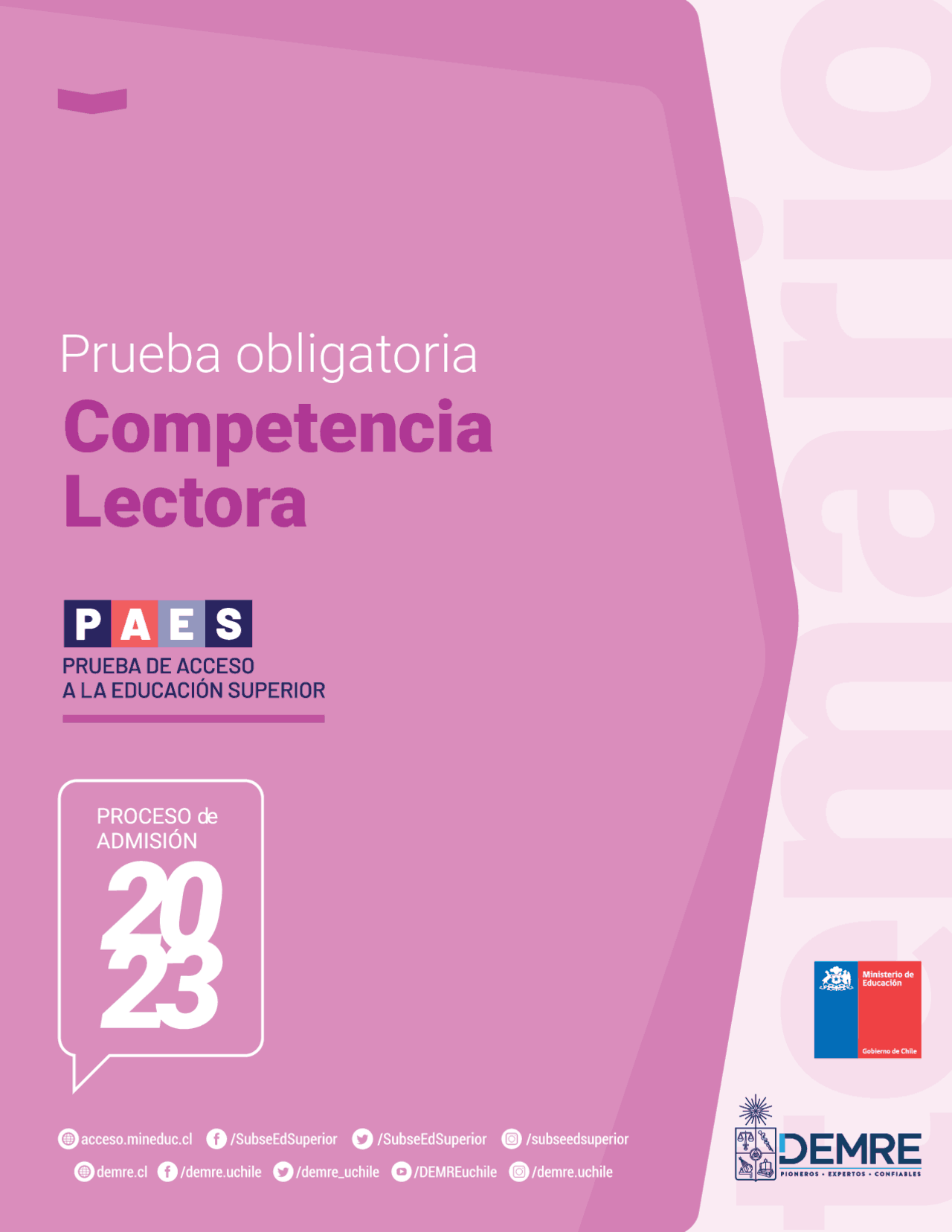 Ensayo PAES Comprensión Lectora 2023 | Monografías, Ensayos de Lengua y ...