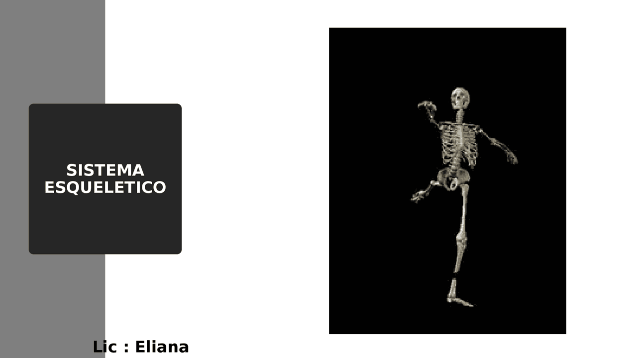 Sistema Esqueletico Generalidades Diapositivas De Anatomía Aplicada