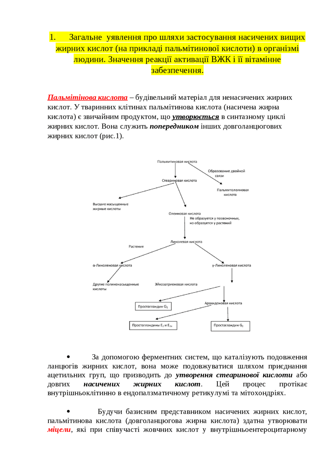 Обмін вищих жирних кислот і кетонових тіл Схемы Биохимия Docsity