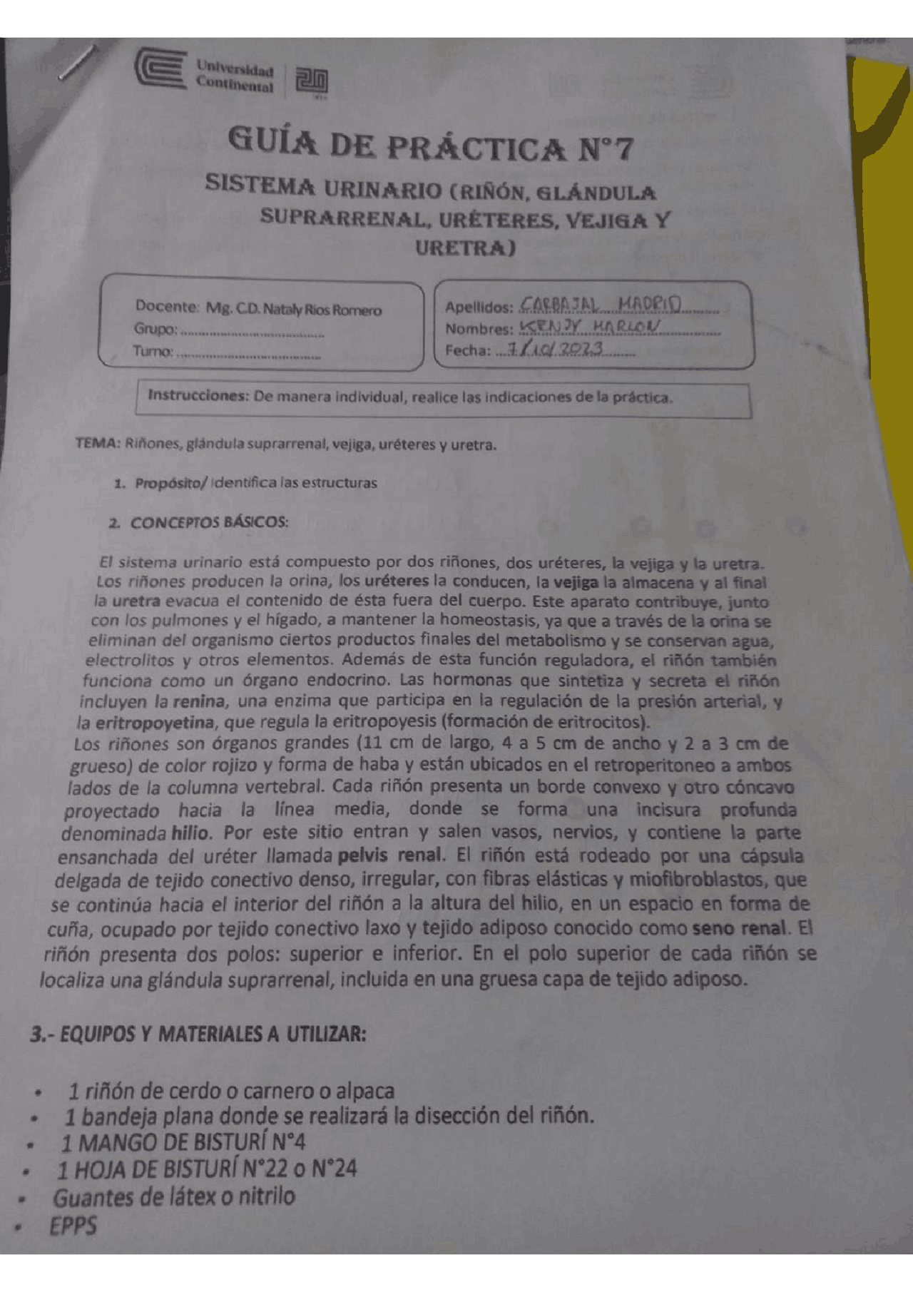 Guia Practica De Anatomia Apuntes De Anatomía Docsity
