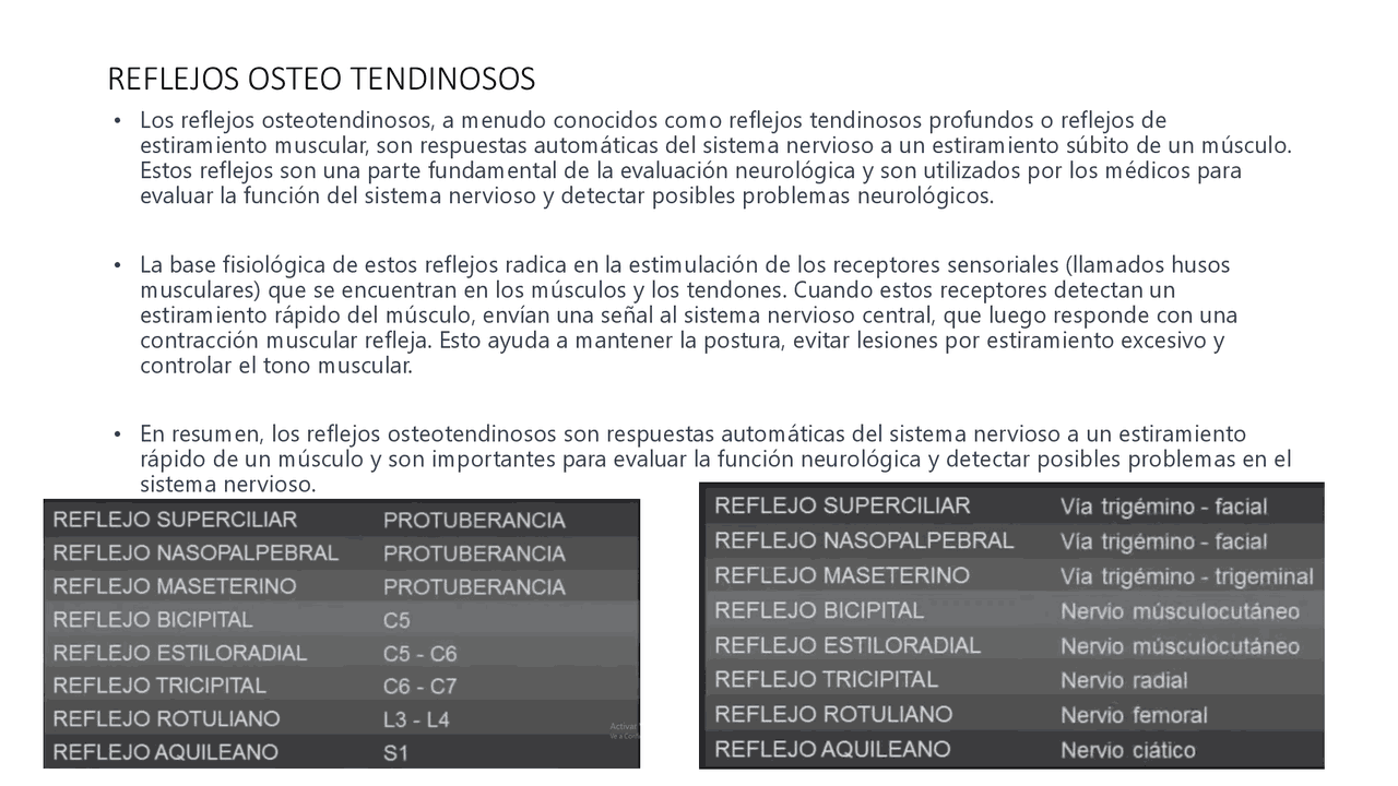 Se espesifica la menera que debemos hacer | Guías, Proyectos ...
